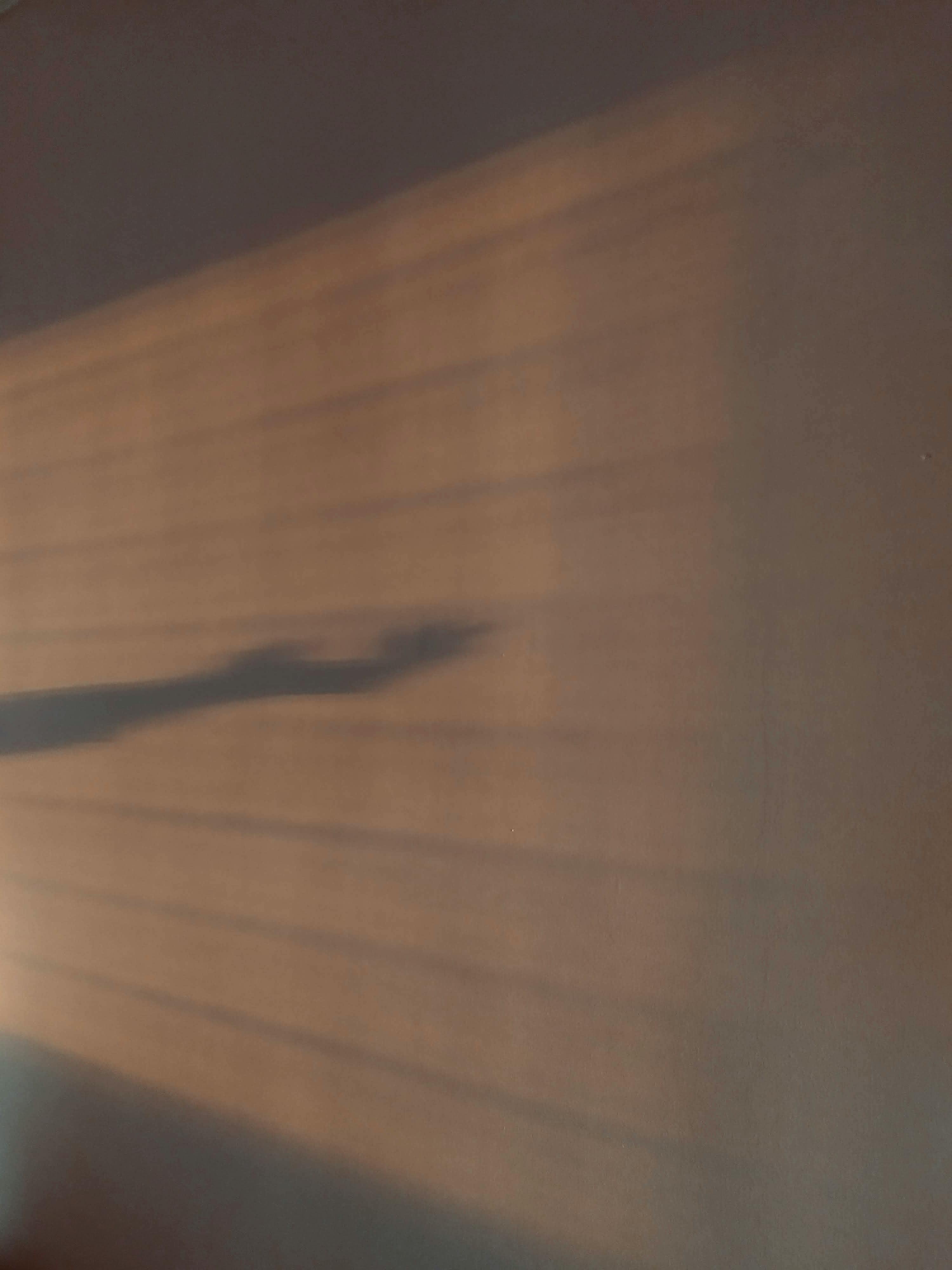 Hafize Balcı - 摄影