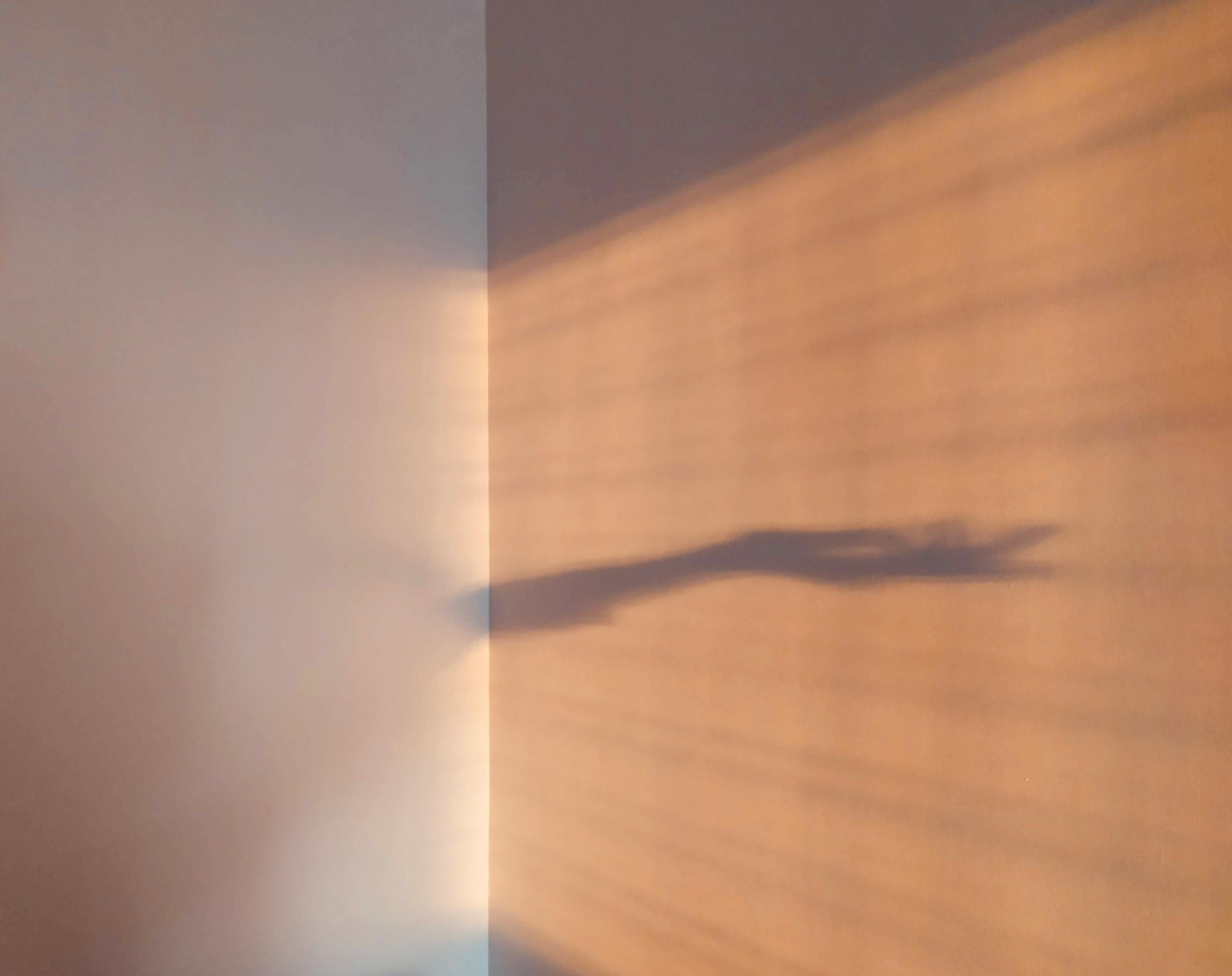 Hafize Balcı - 摄影