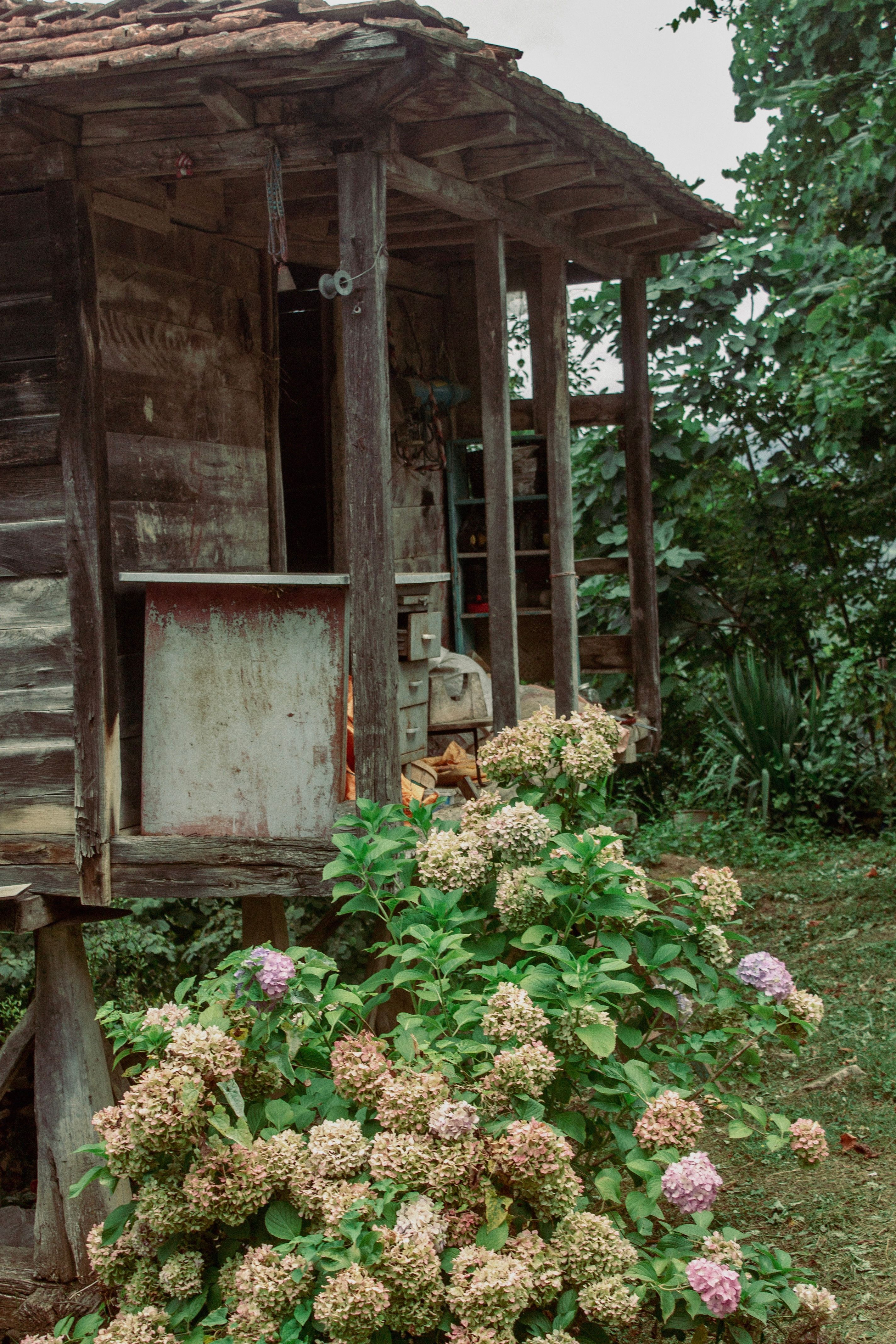 A small cabin with flowers and bushes in front · Free Stock Photo