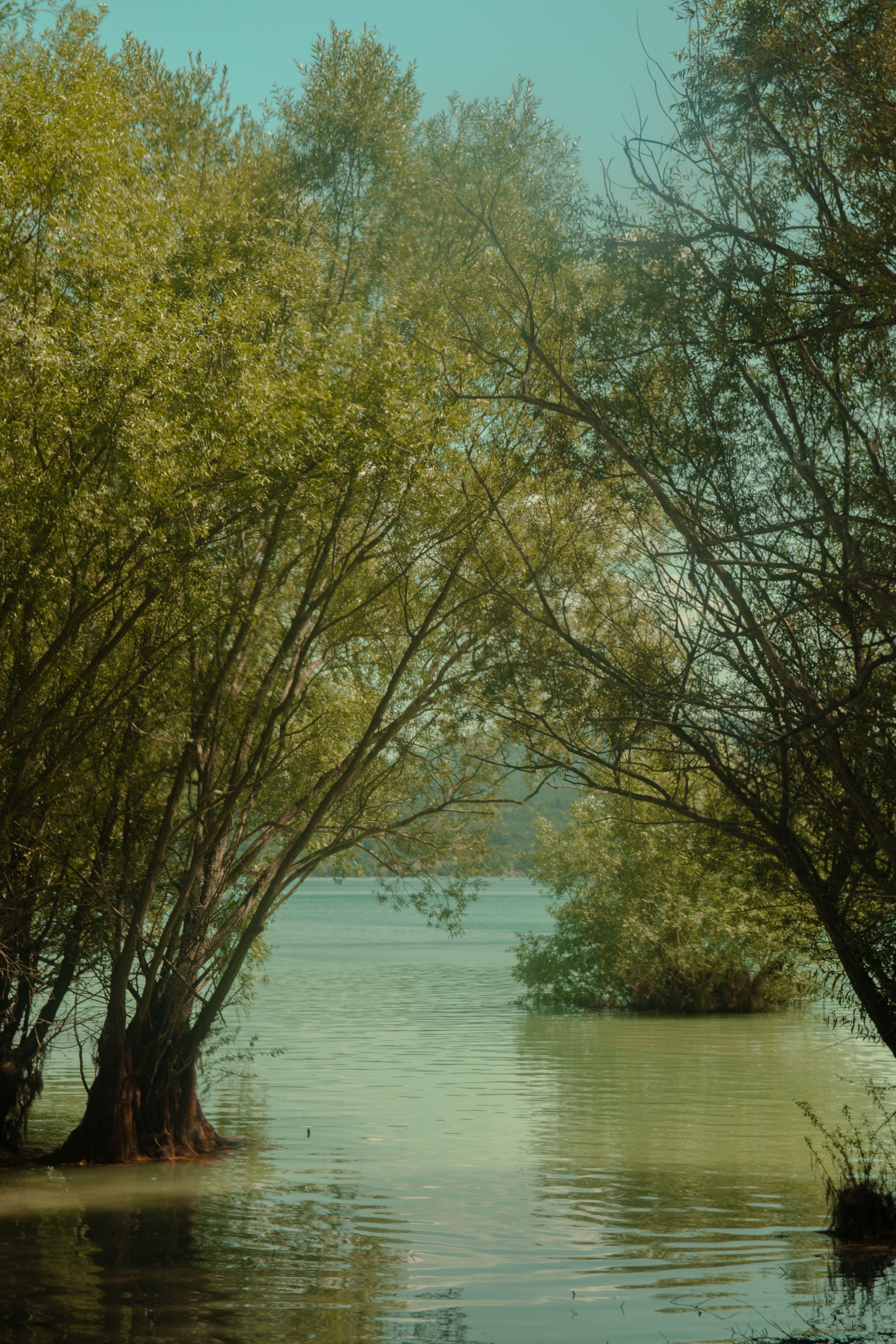Landscape Photography of Body of Water · Free Stock Photo