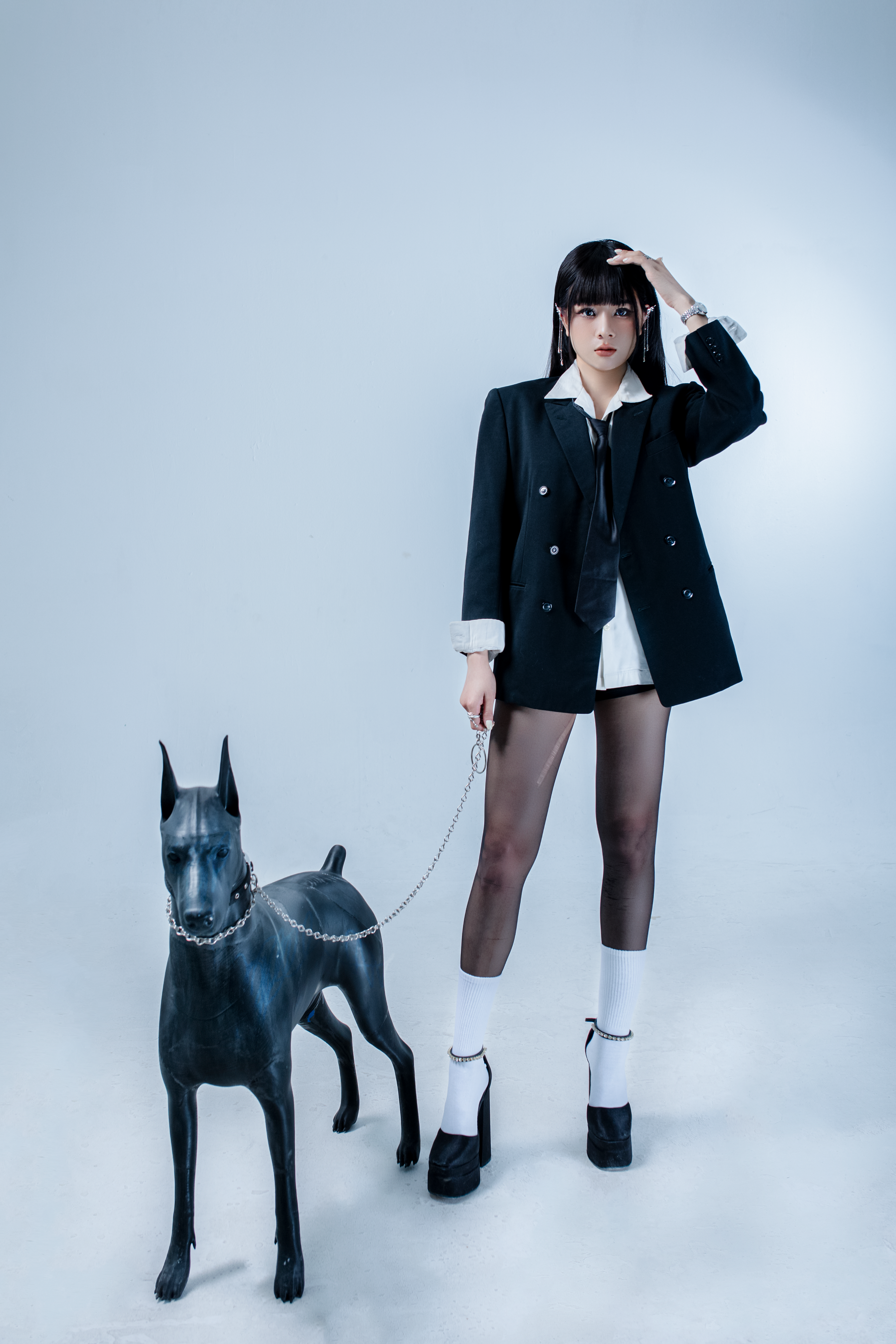 Dog 512x512 Photos, Download The BEST Free Dog 512x512 Stock Photos ...