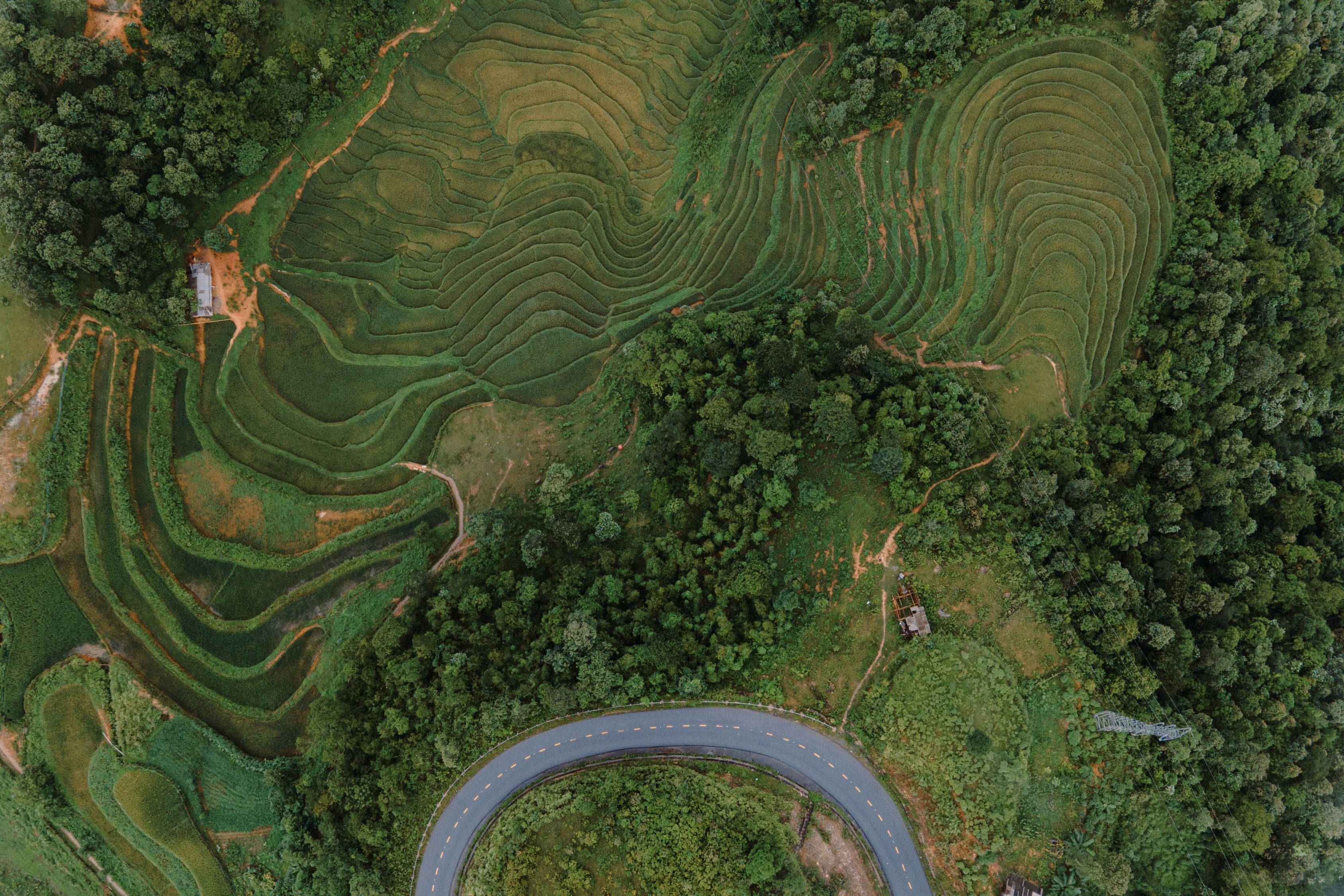 Aerial View of Green Terraced Fields · Free Stock Photo