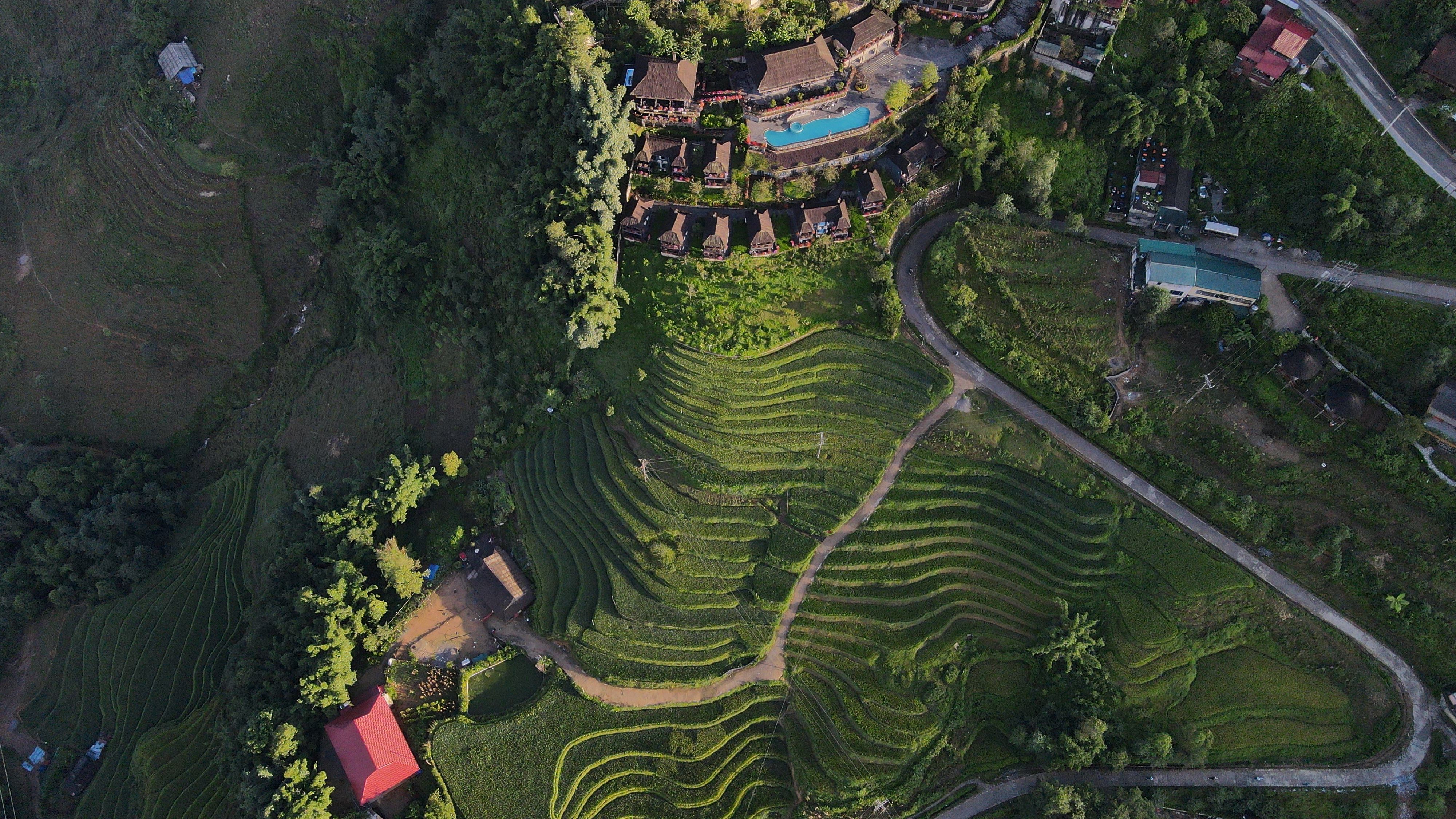 Aerial view of a rice terrace and a house · Free Stock Photo