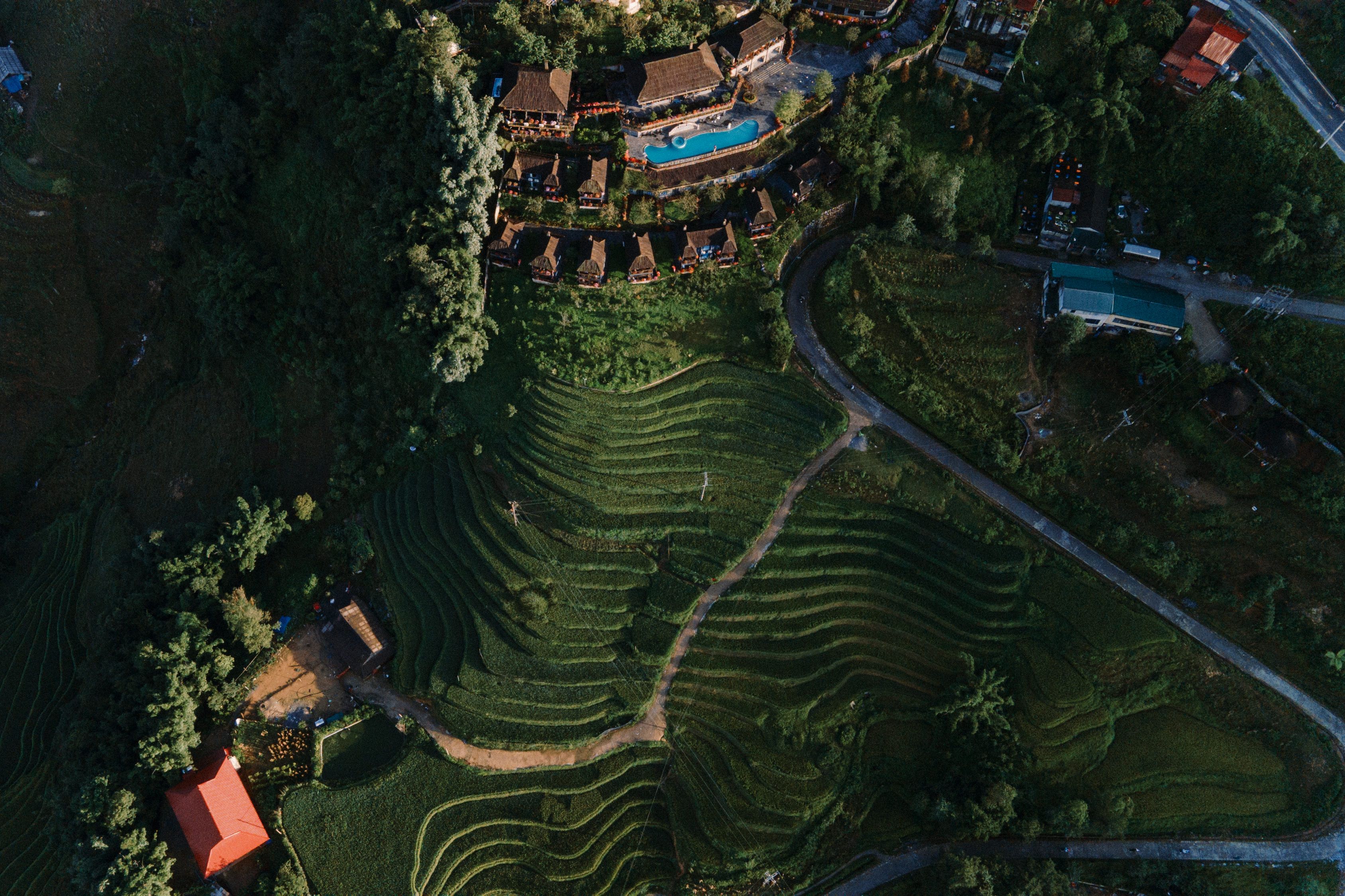 Aerial view of a resort and rice fields · Free Stock Photo