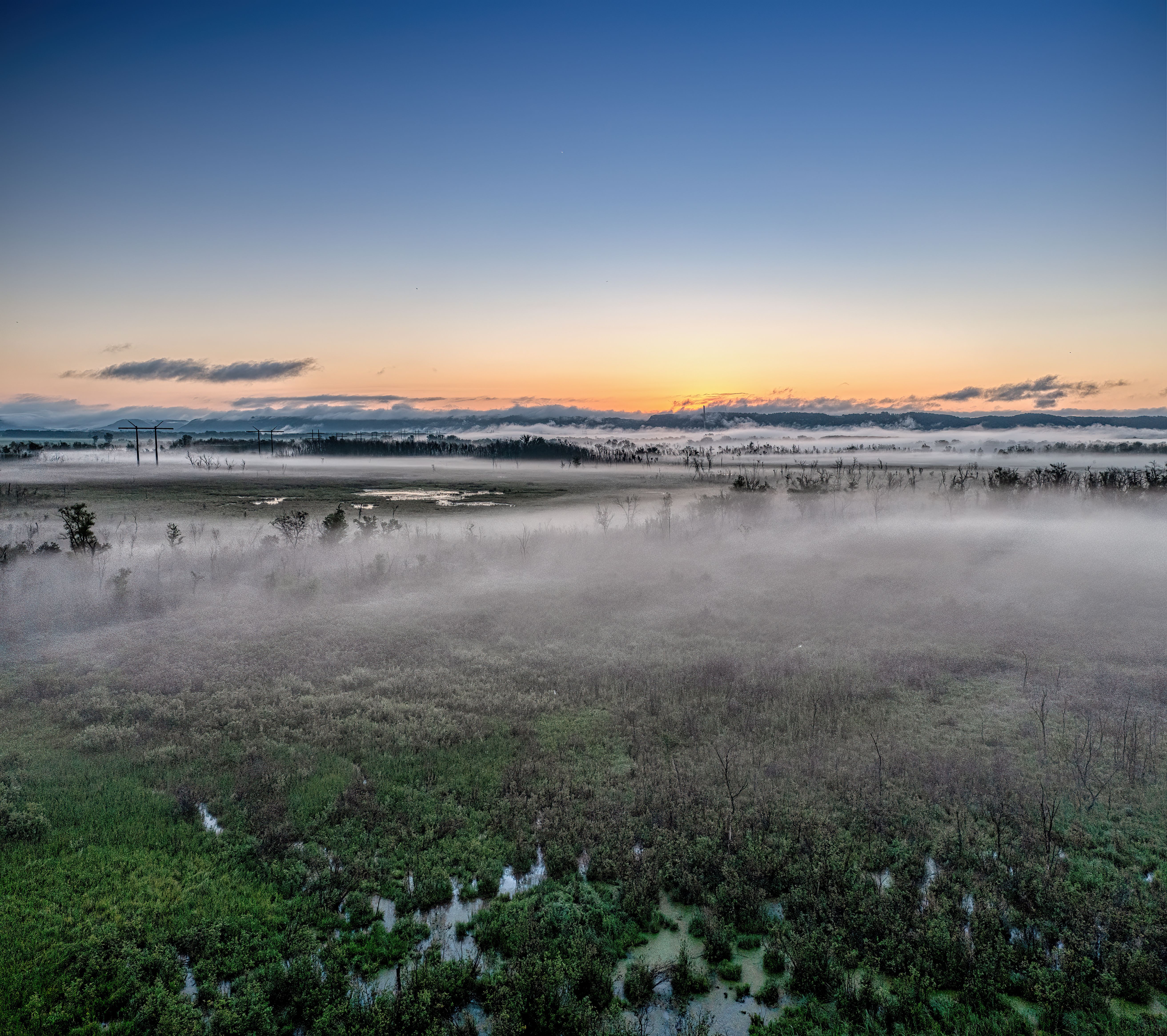A sunrise over a marsh with fog and grass · Free Stock Photo
