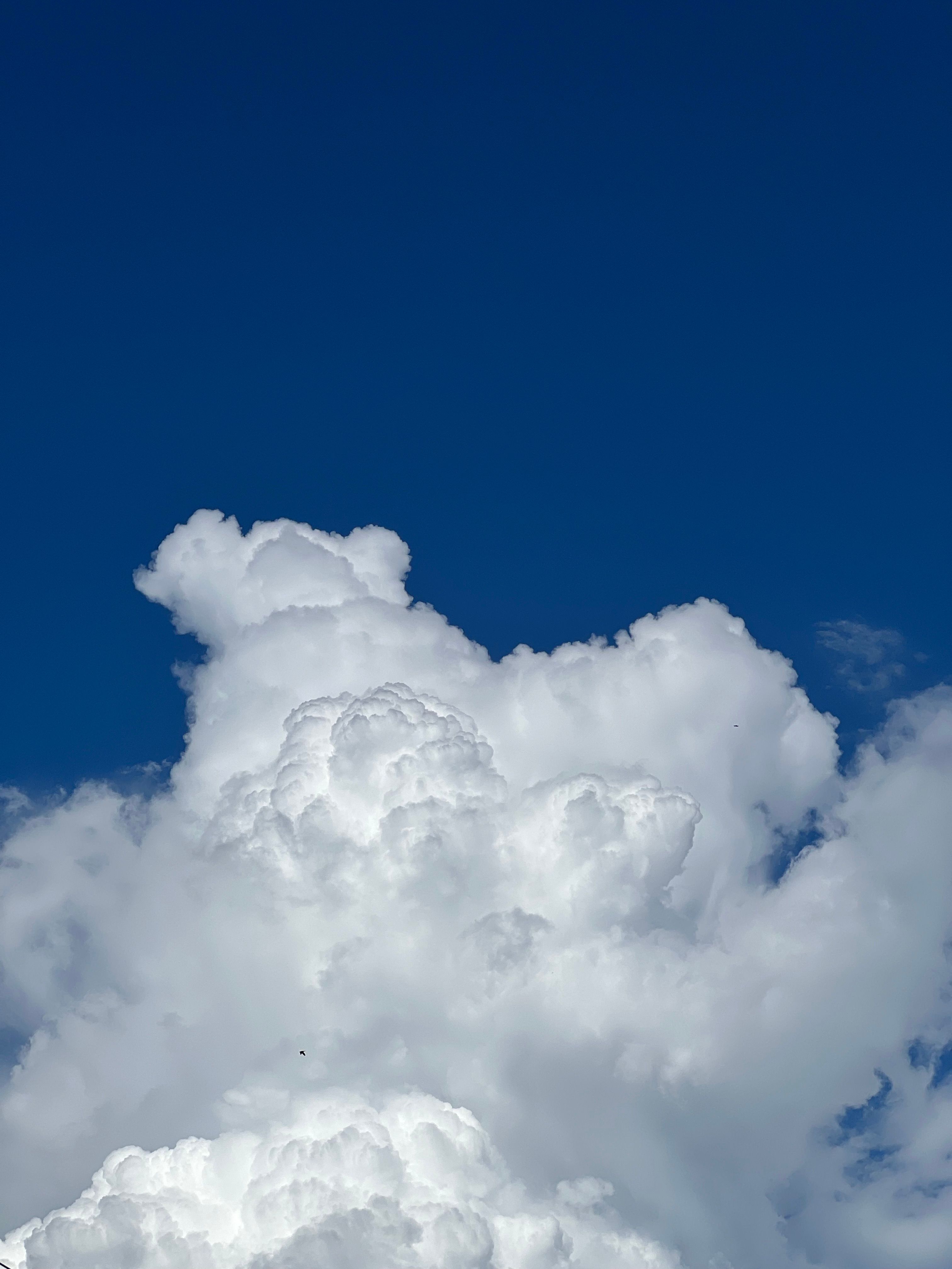 A large white cloud is in the sky · Free Stock Photo