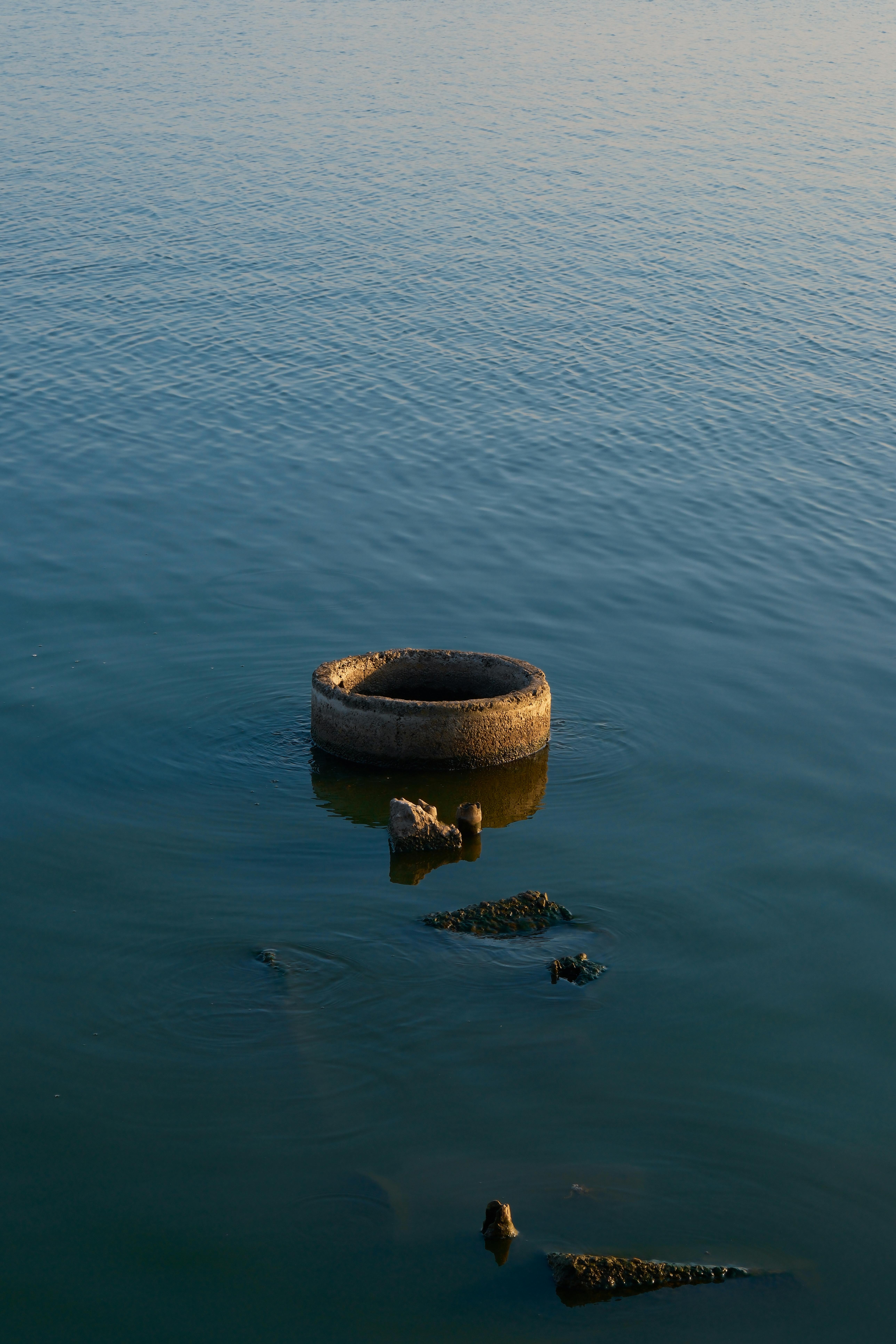A tire floating in the water · Free Stock Photo