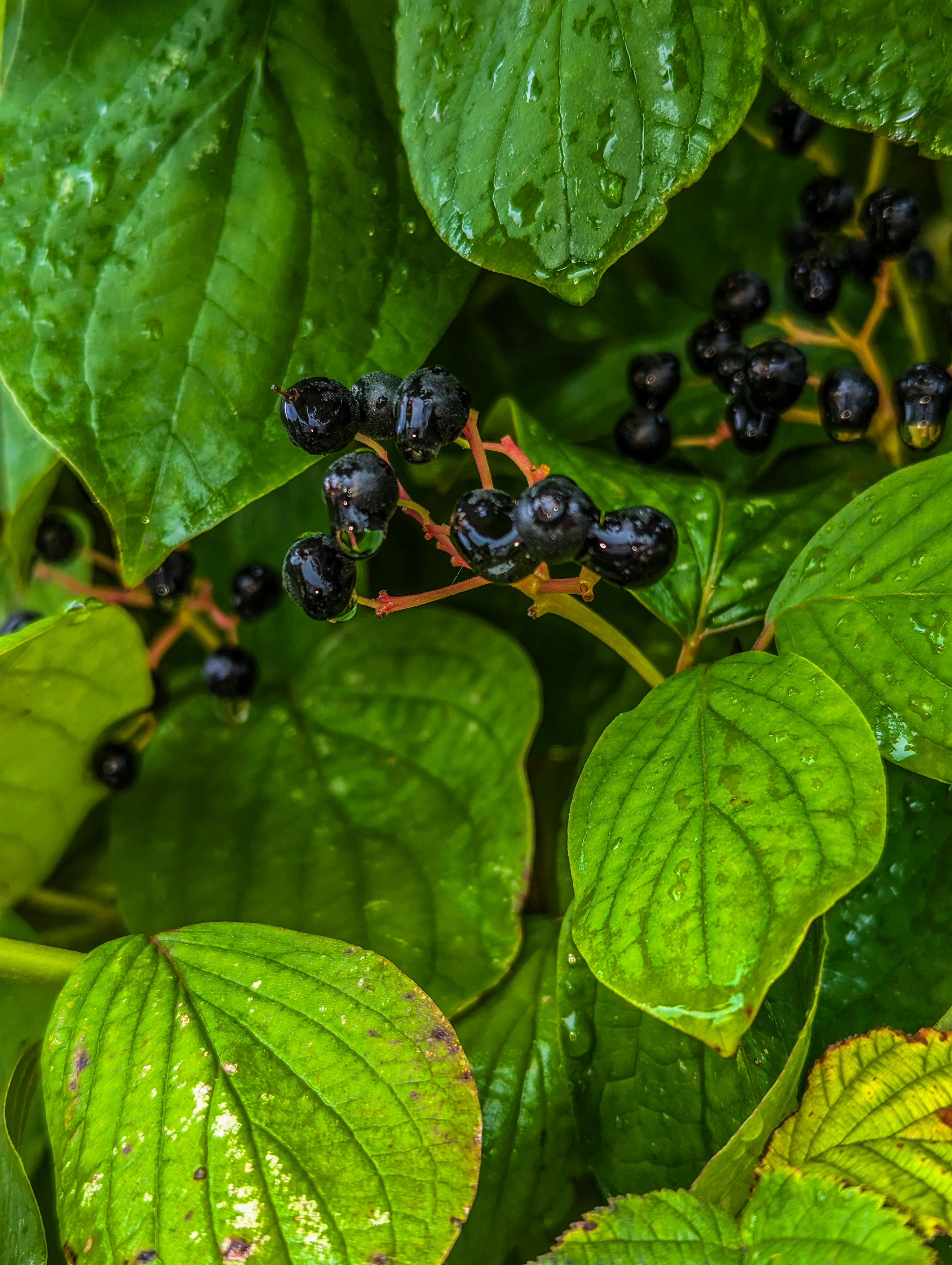 Sergej Karpow - Photography