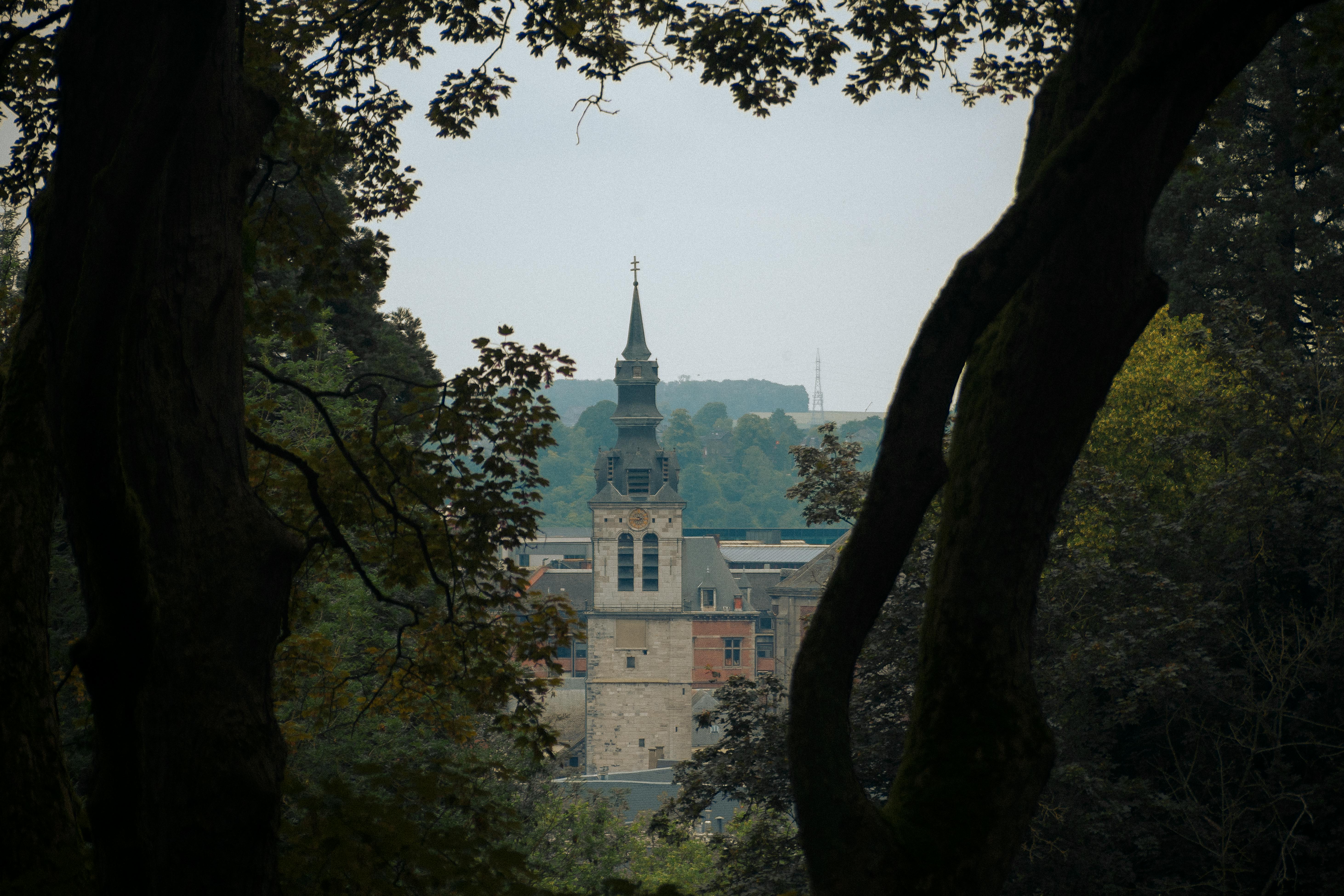 A view of a church from behind trees · Free Stock Photo