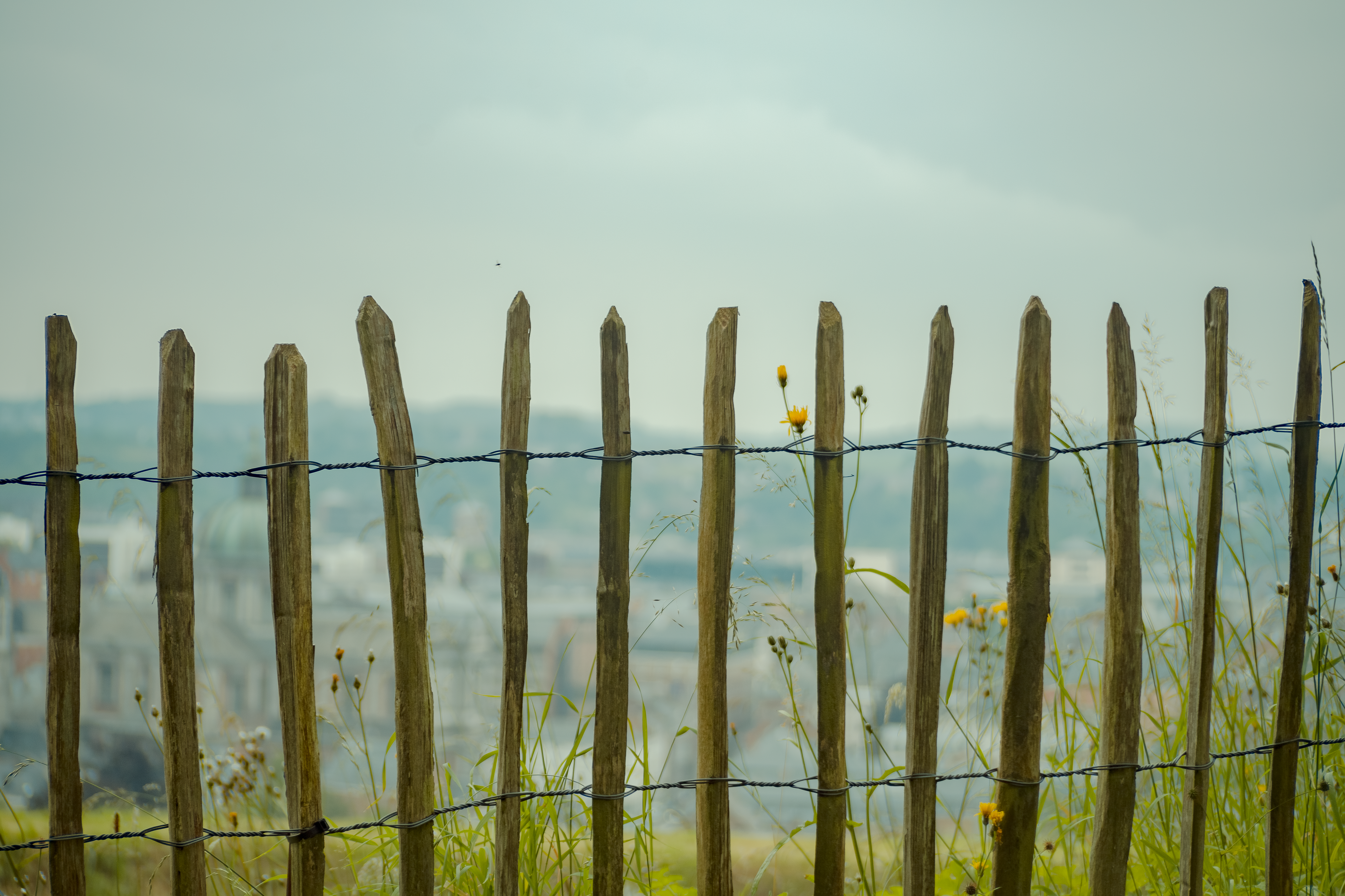 A fence with a view of the city · Free Stock Photo