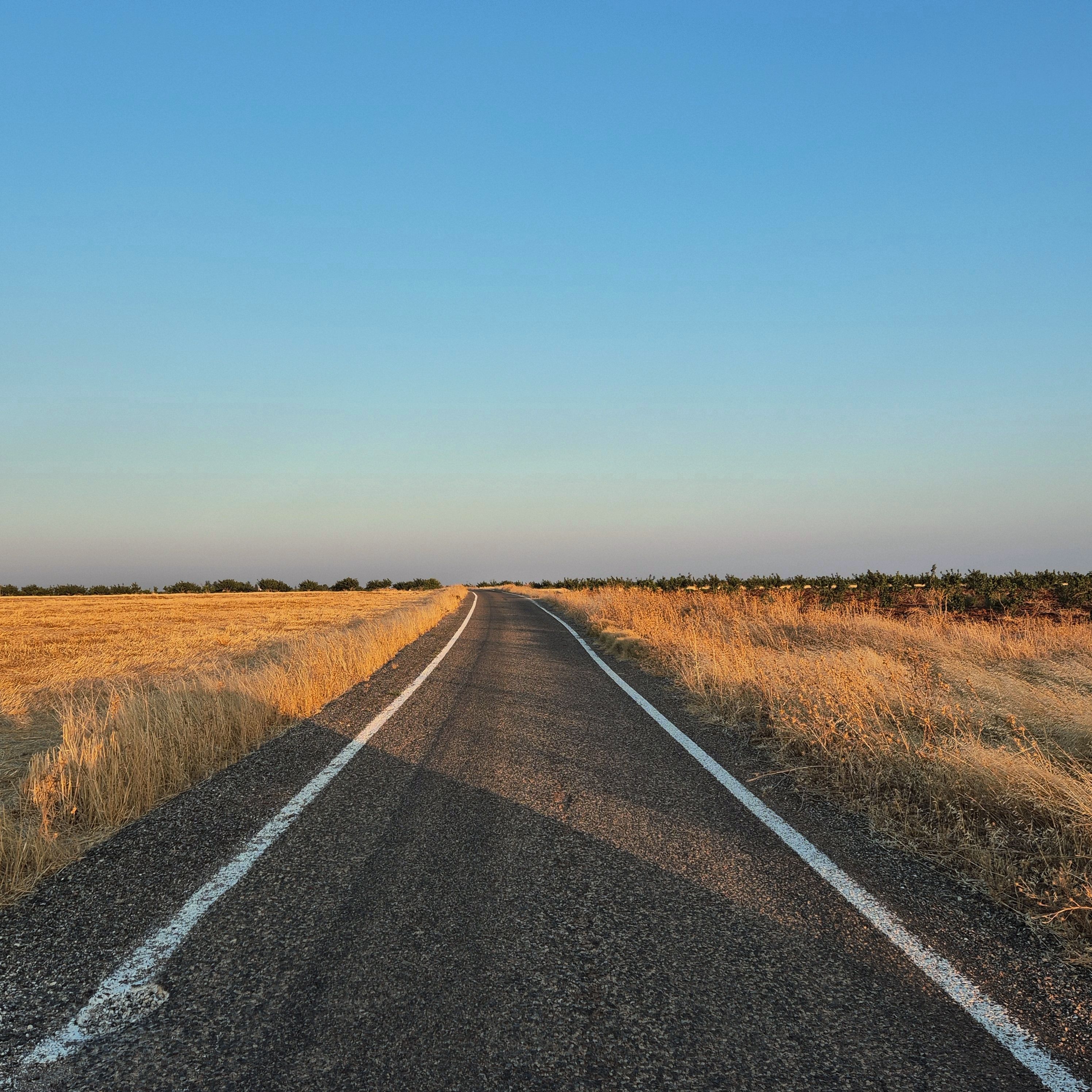 An empty road in the middle of a dry field · Free Stock Photo