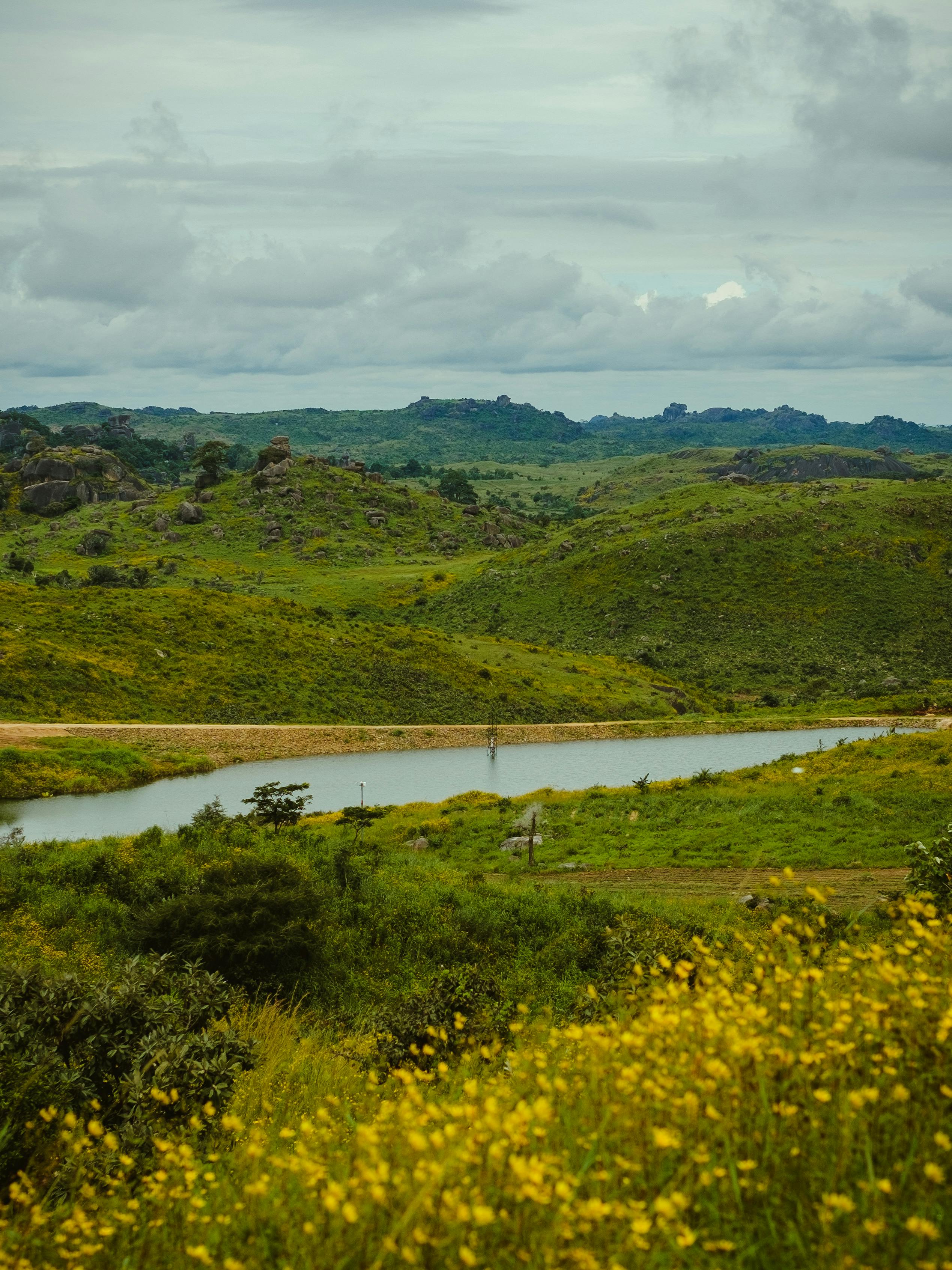 The Greens of Miango · Free Stock Photo