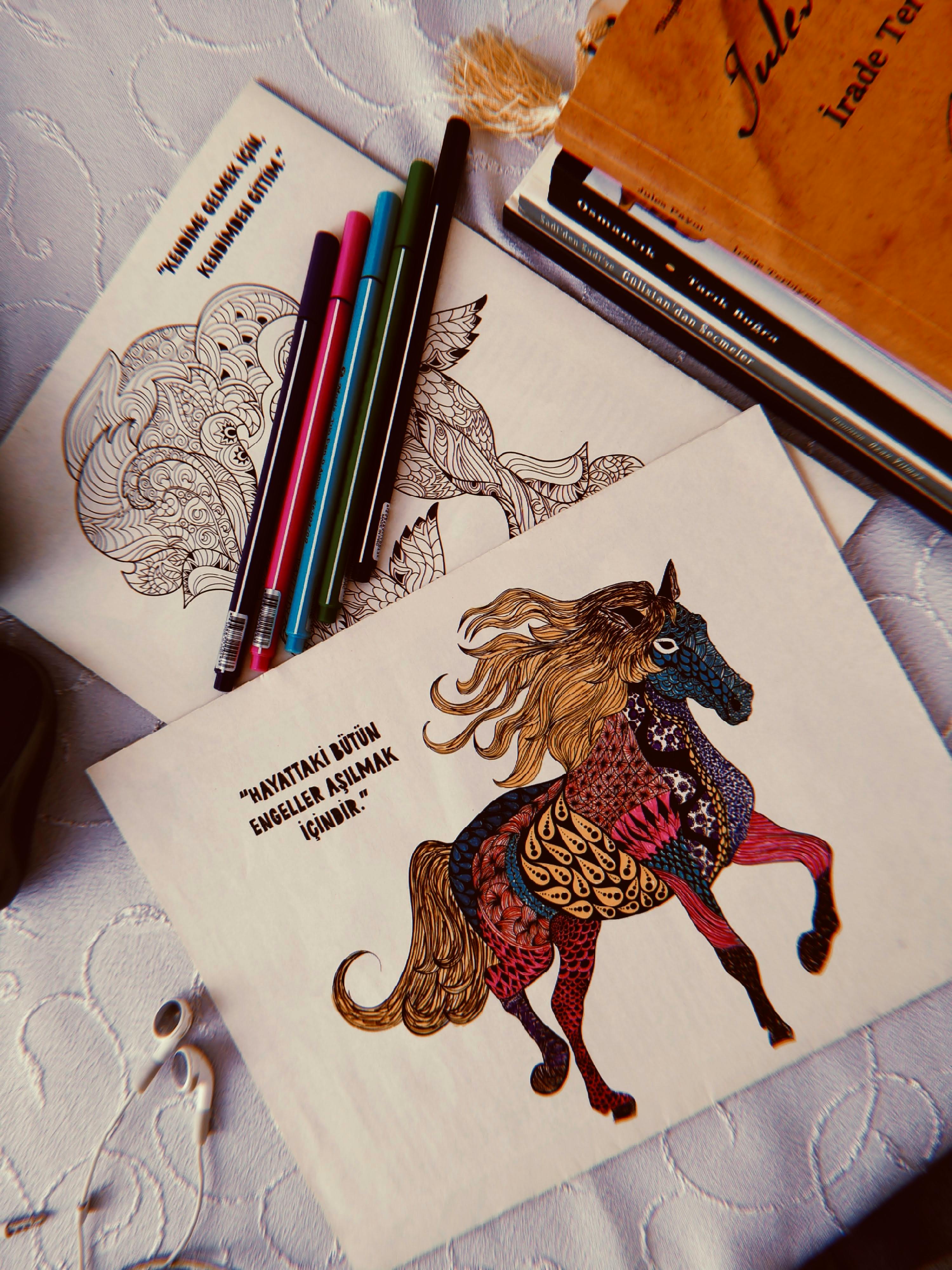 Hafize Balcı - 摄影