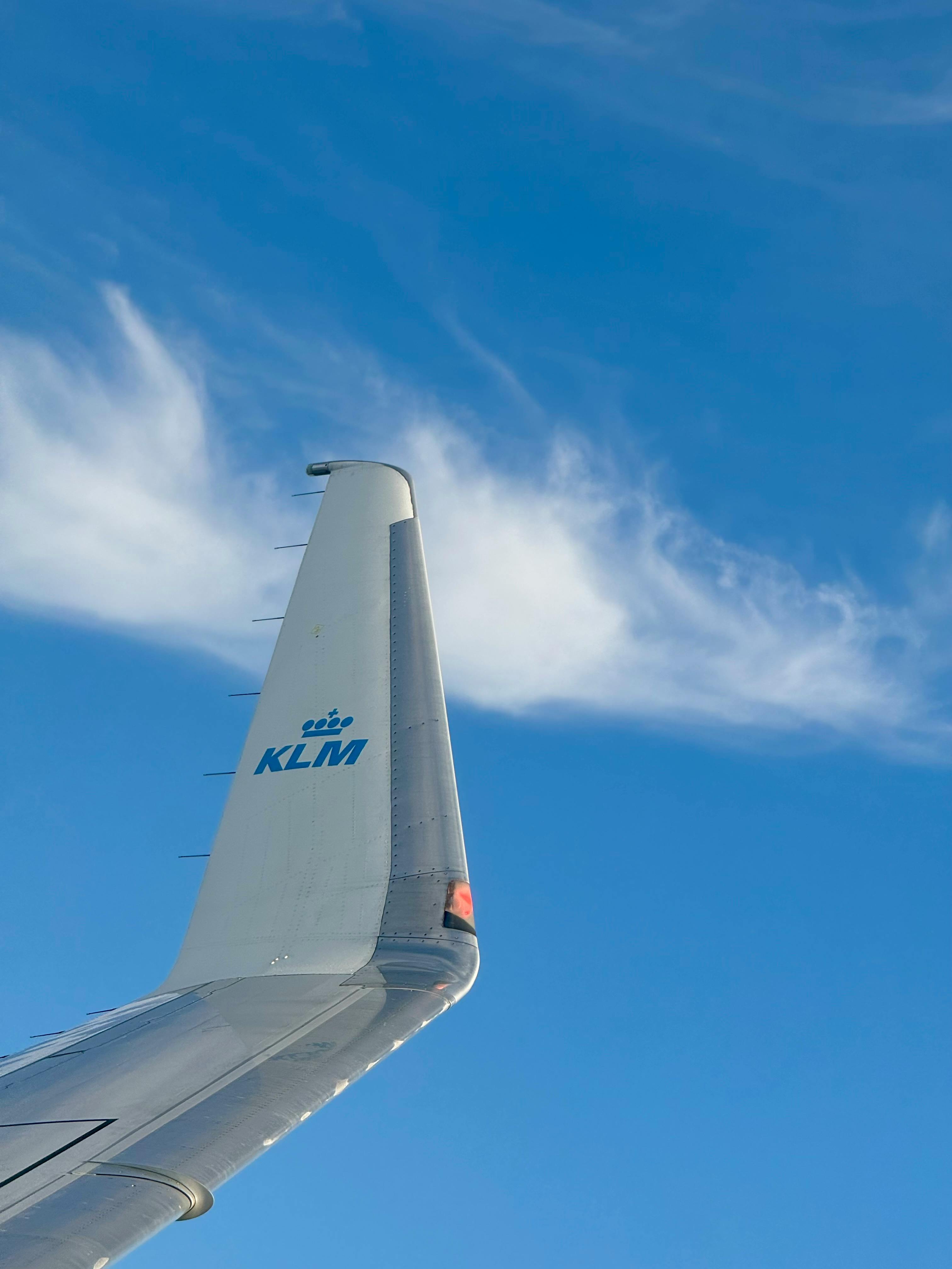 The wing of an airplane with the word kal on it · Free Stock Photo