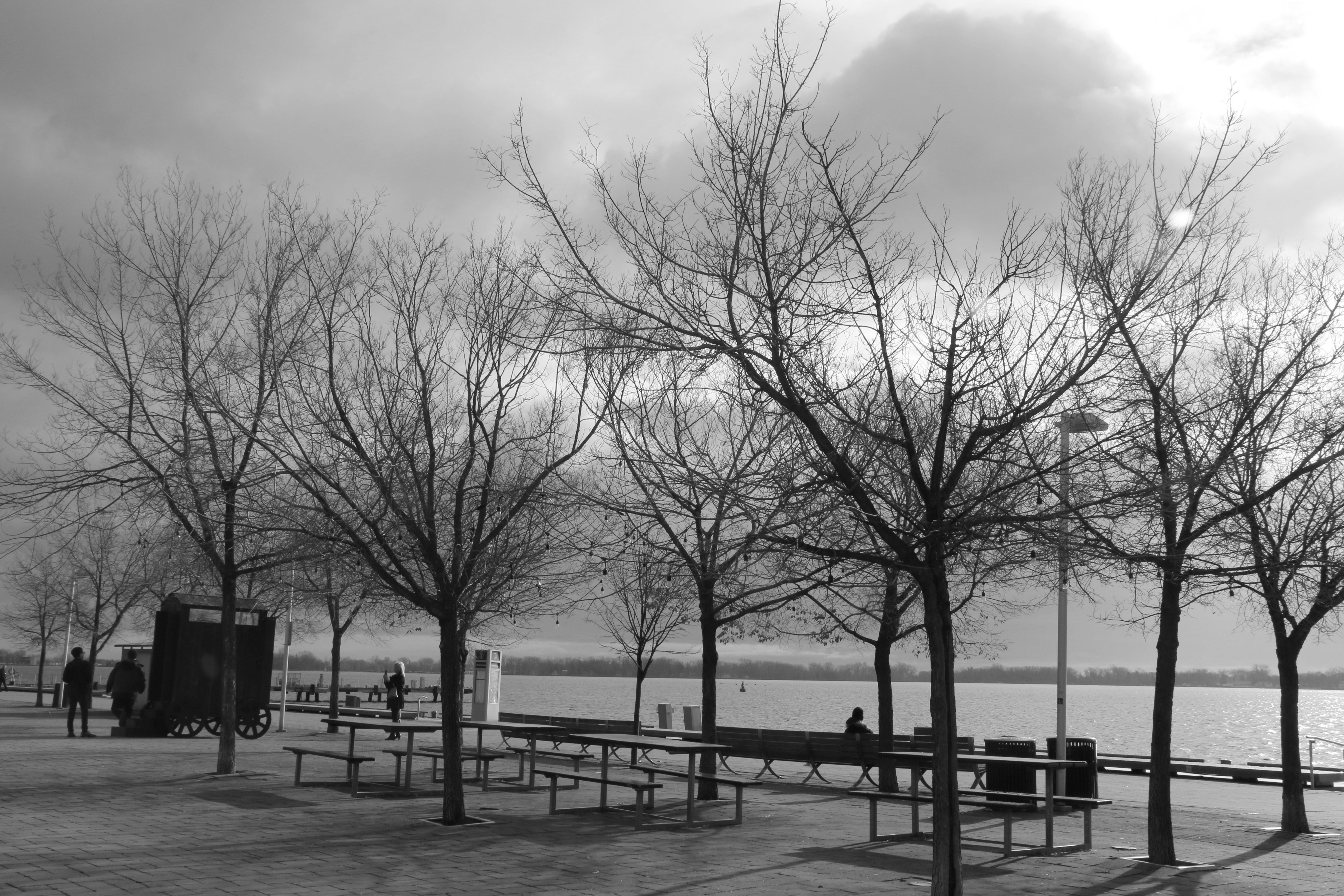 The lakefront in Toronto. Ontario. Canada. · Free Stock Photo
