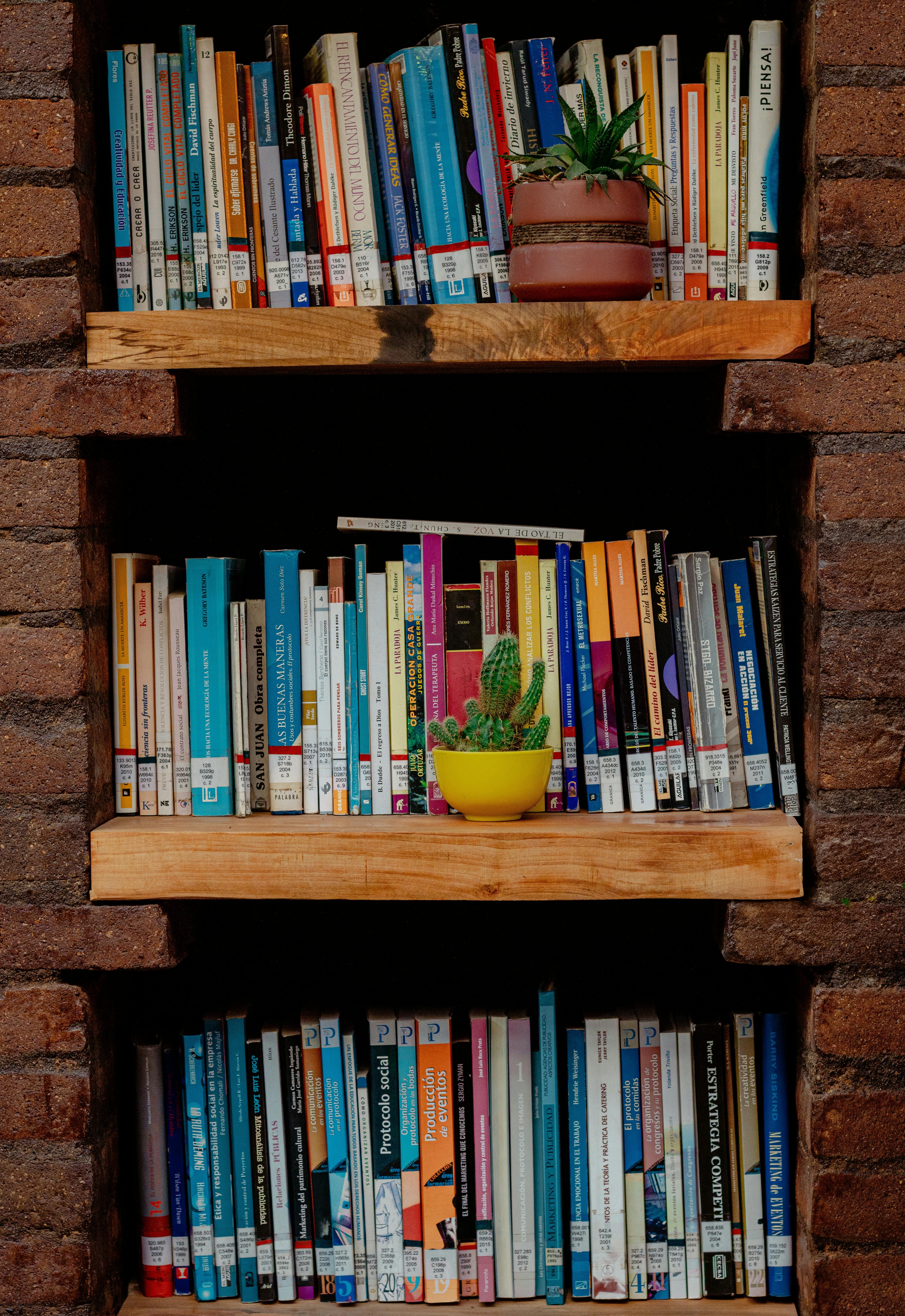 Librero · Free Stock Photo