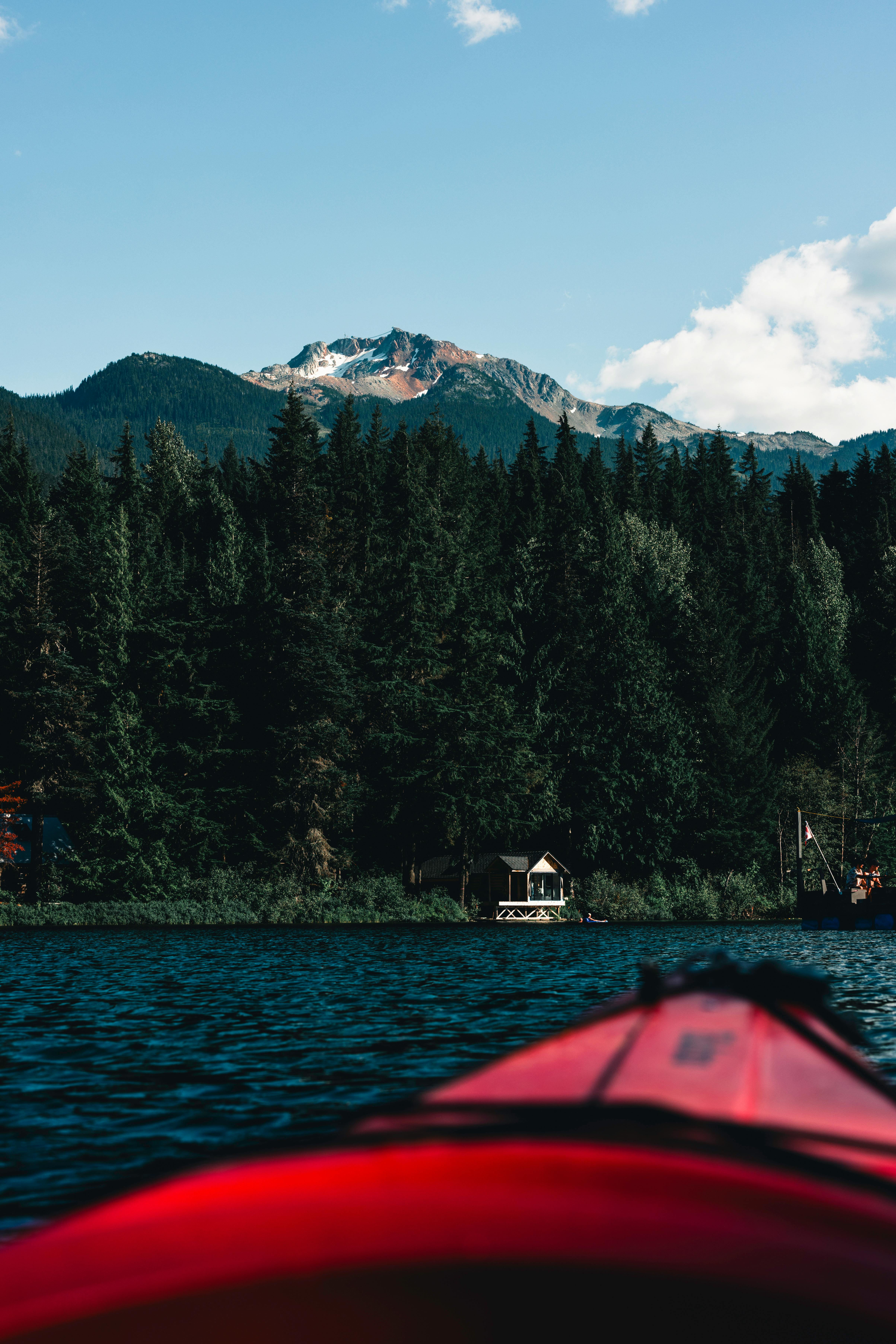 Ücretsiz açık hava, açık hava etkinliği, ağaçlar, araba yolculuğu ...