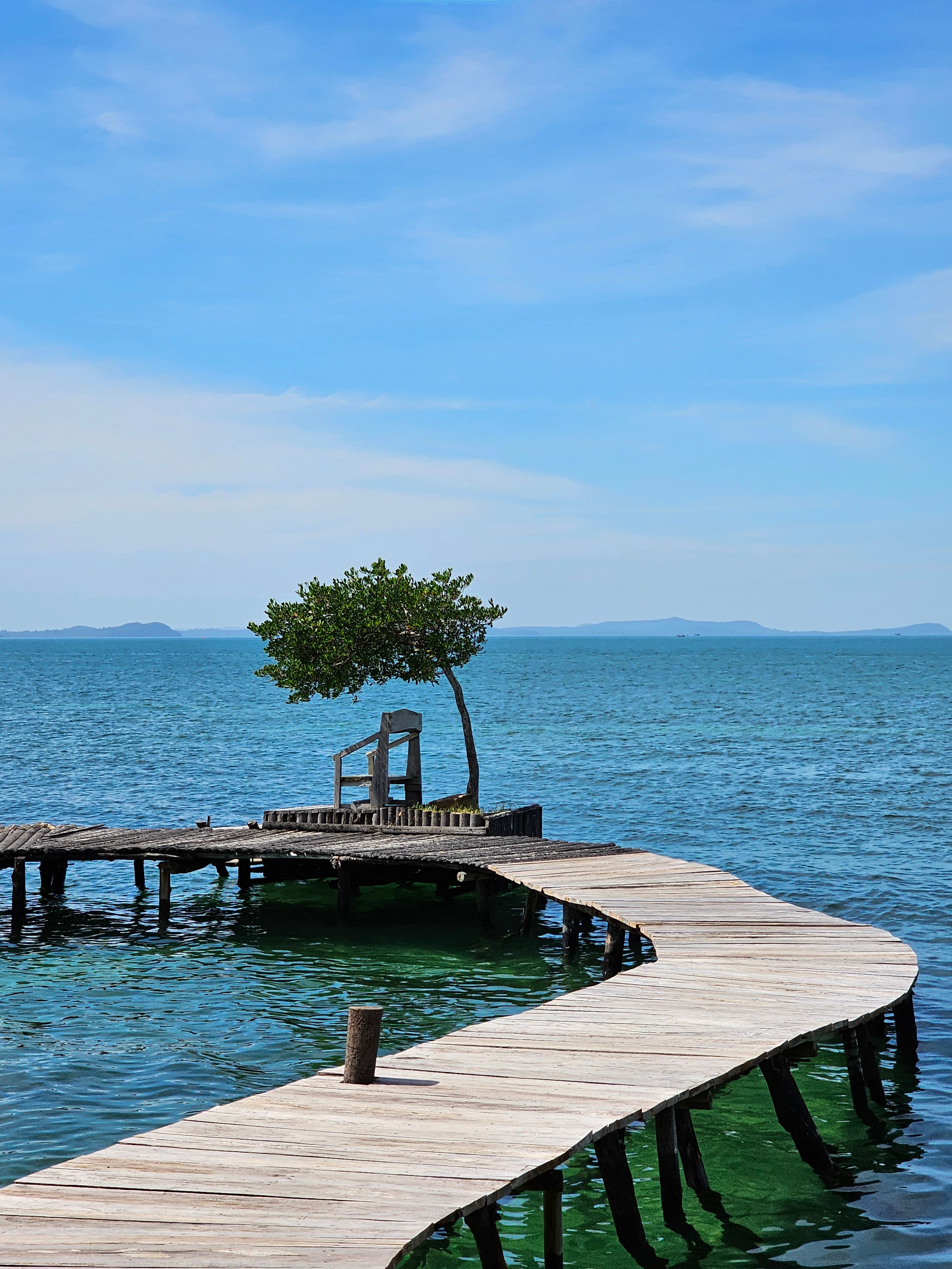 A wooden pier with a tree on it in the ocean · Free Stock Photo