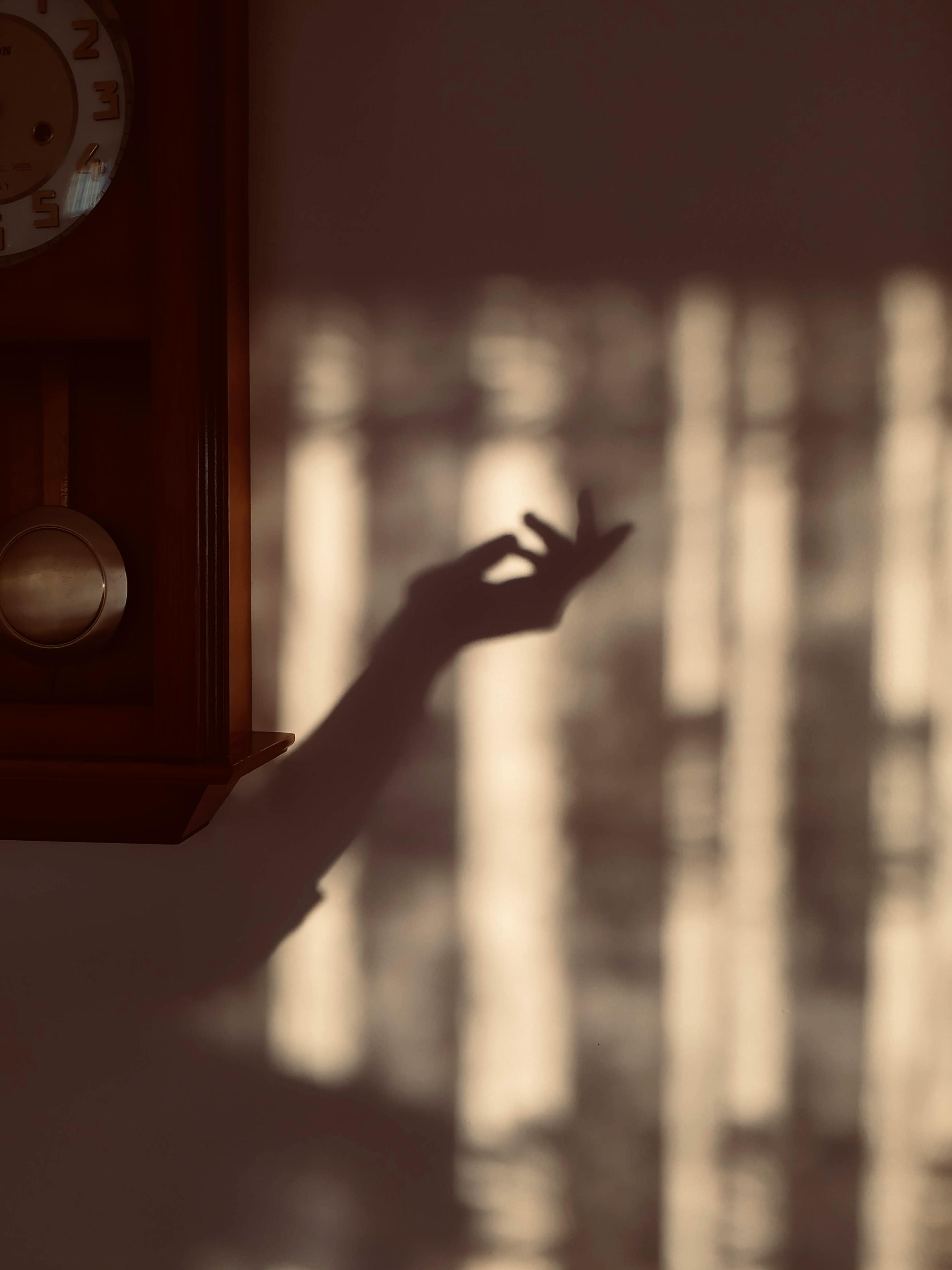 Hafize Balcı - 摄影