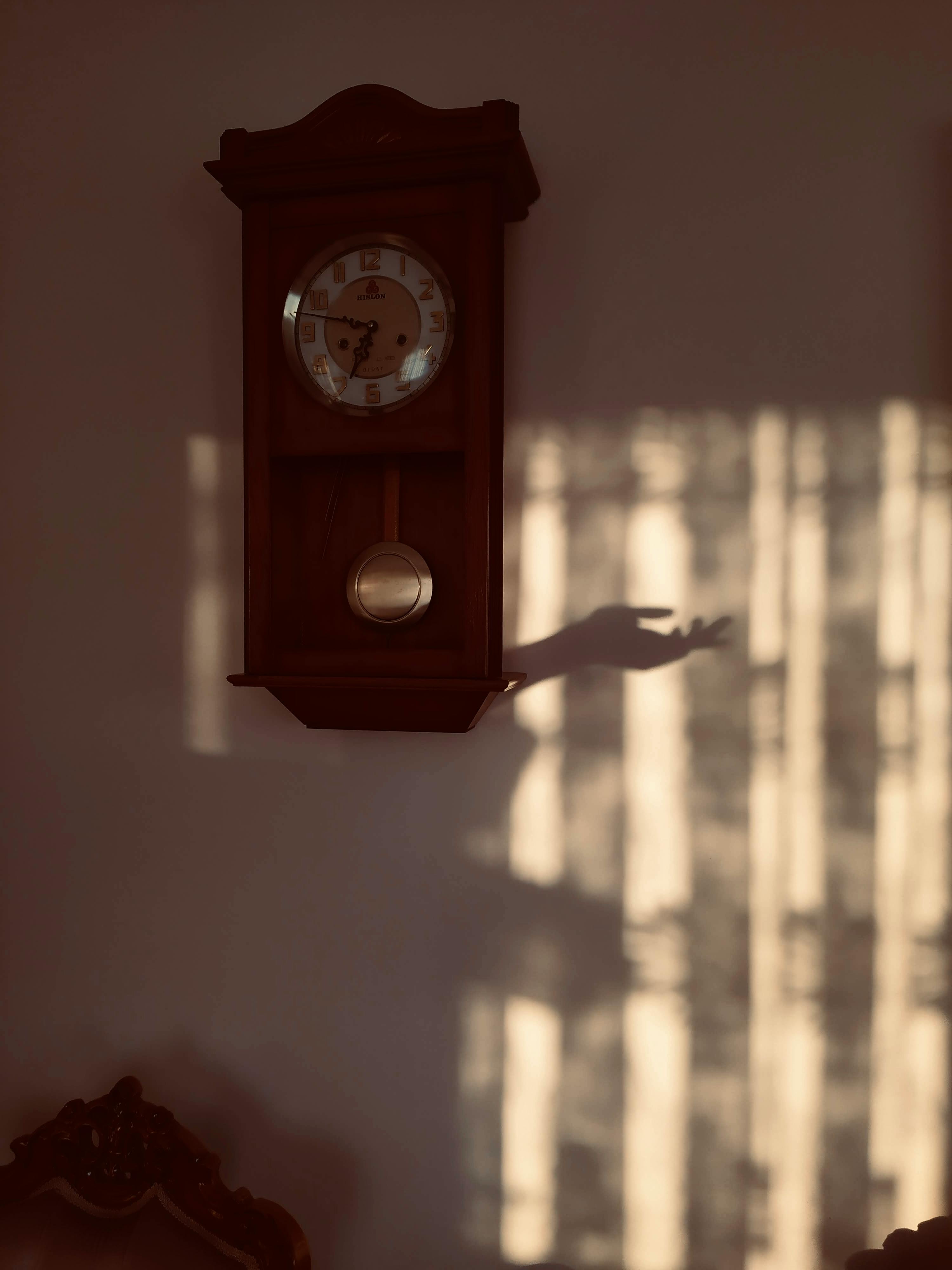 Hafize Balcı - 摄影