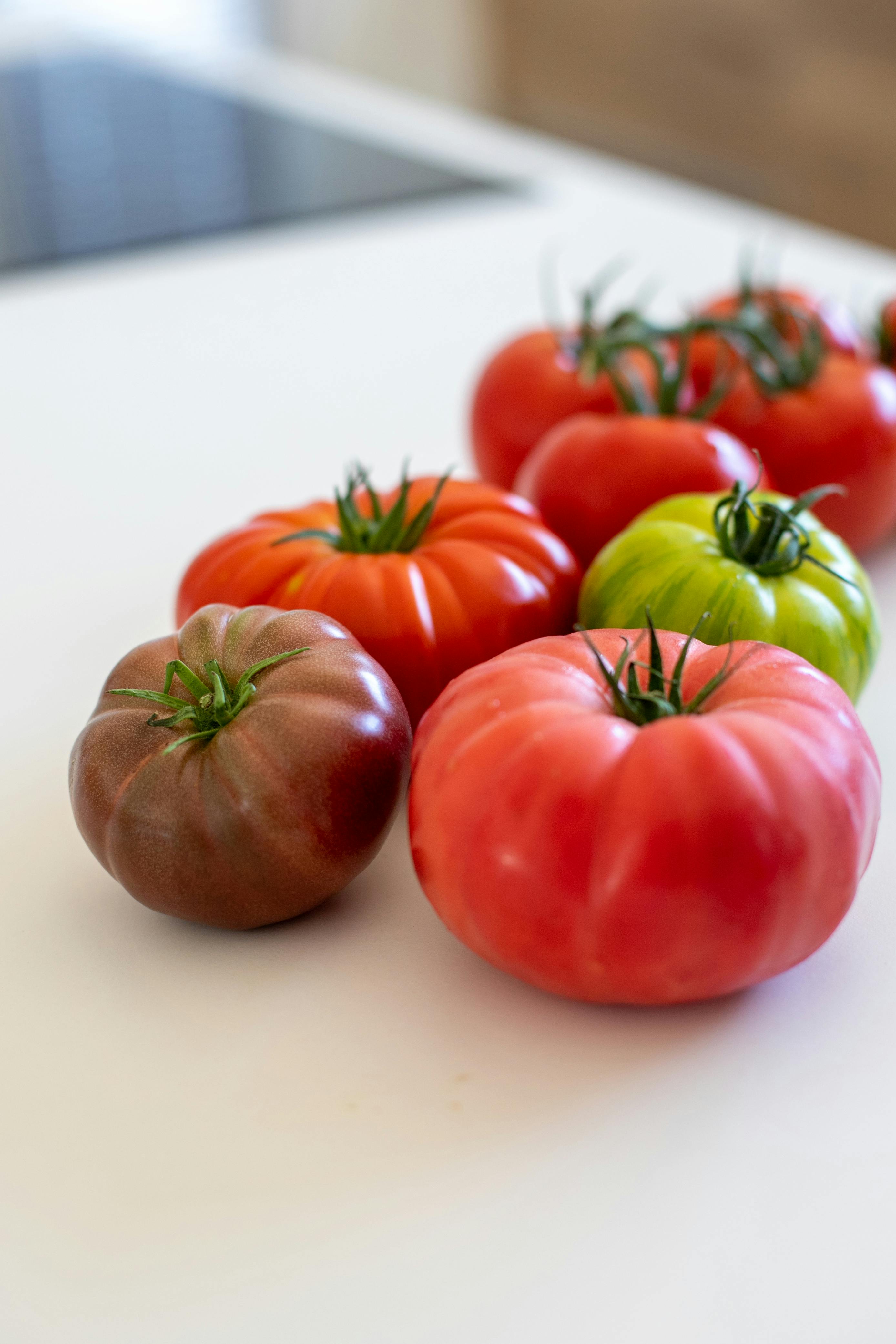 Red Tomatoes · Free Stock Photo