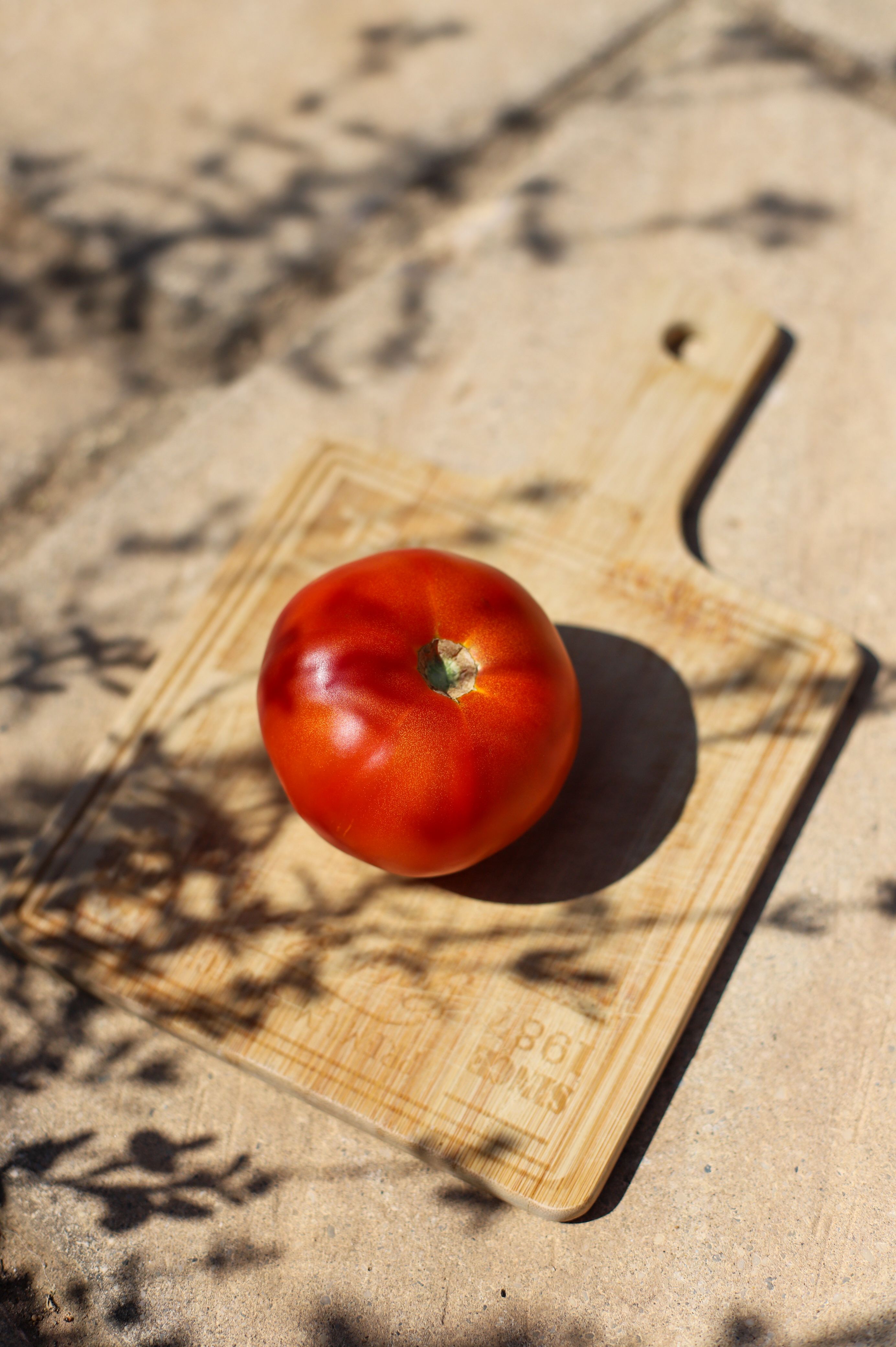 Tomates de Provence · Free Stock Photo