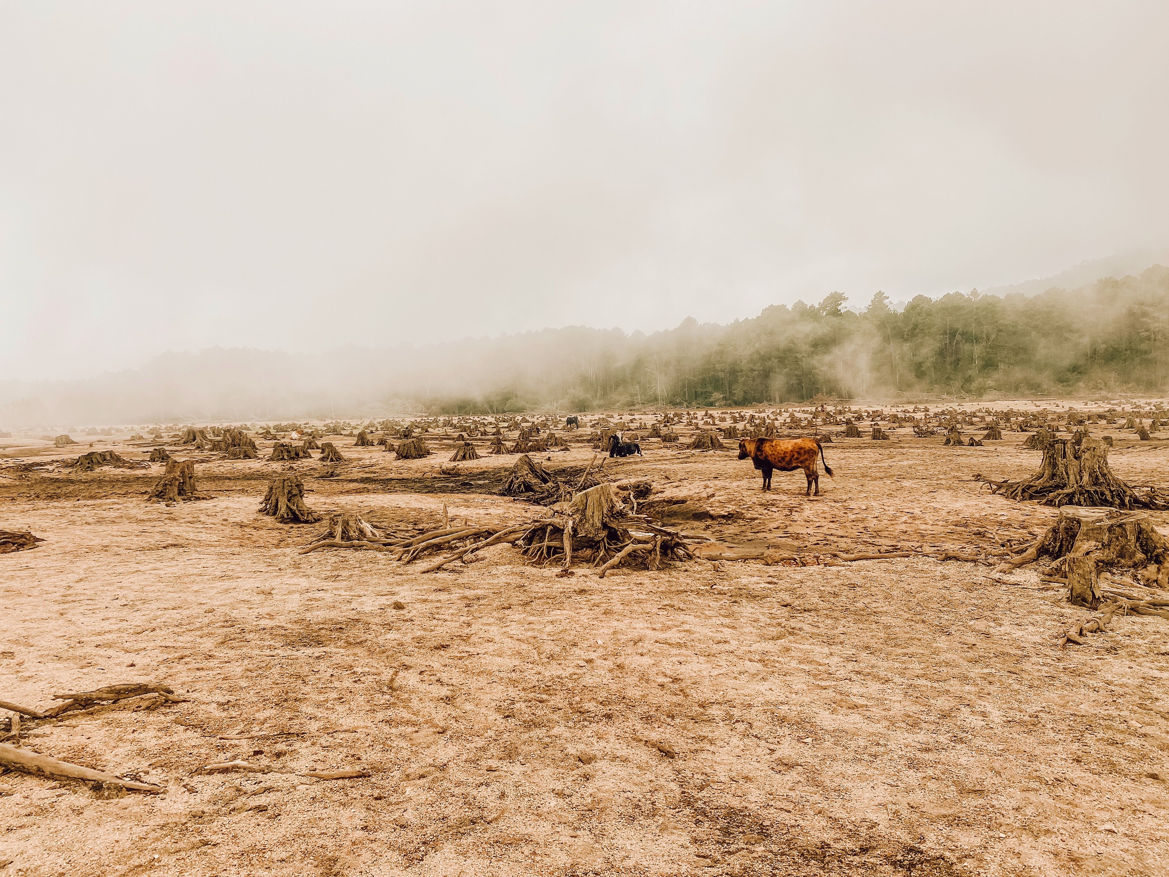 Natural Resources Depletion Photos, Download The BEST Free Natural ...