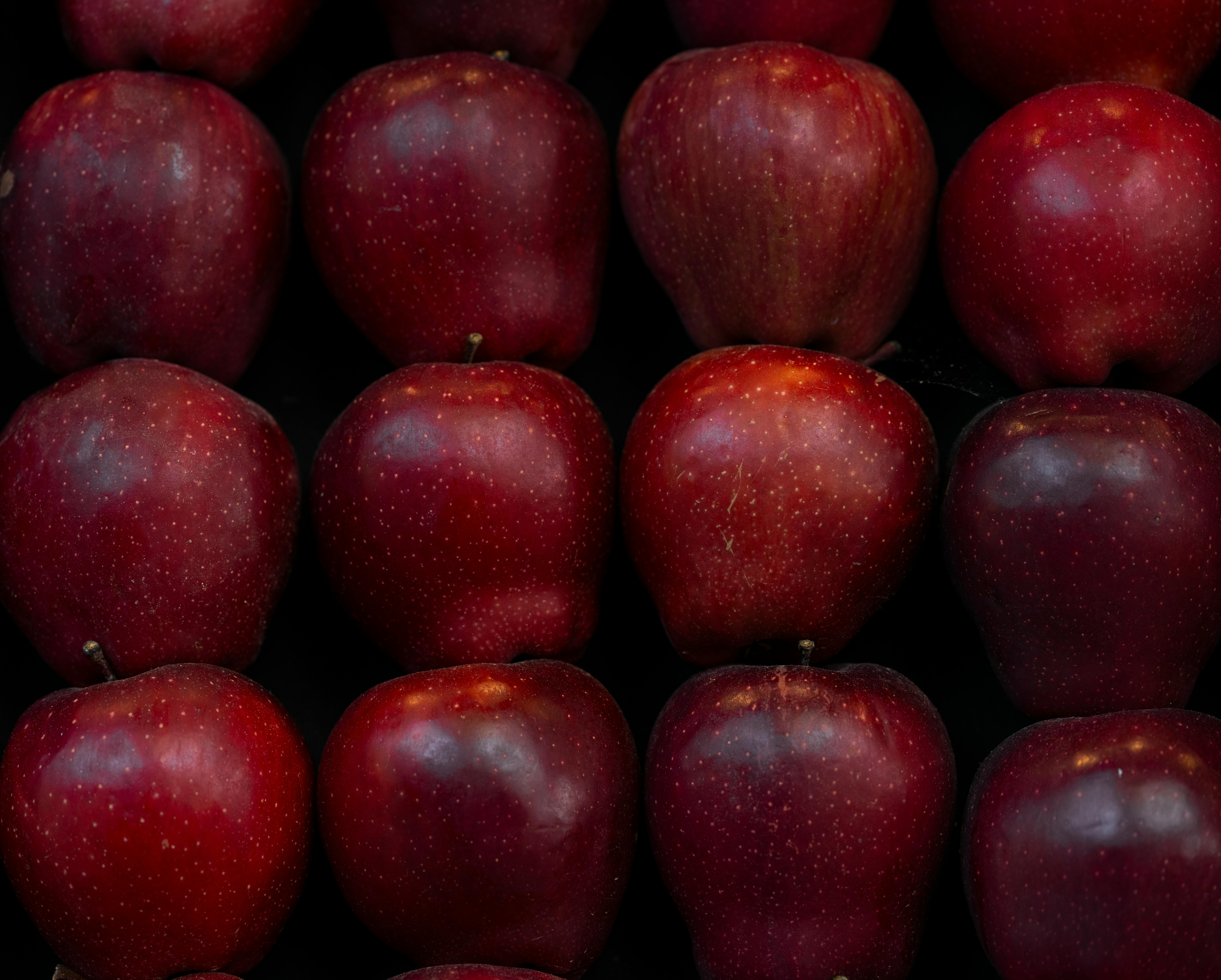 fresh red apples · Free Stock Photo