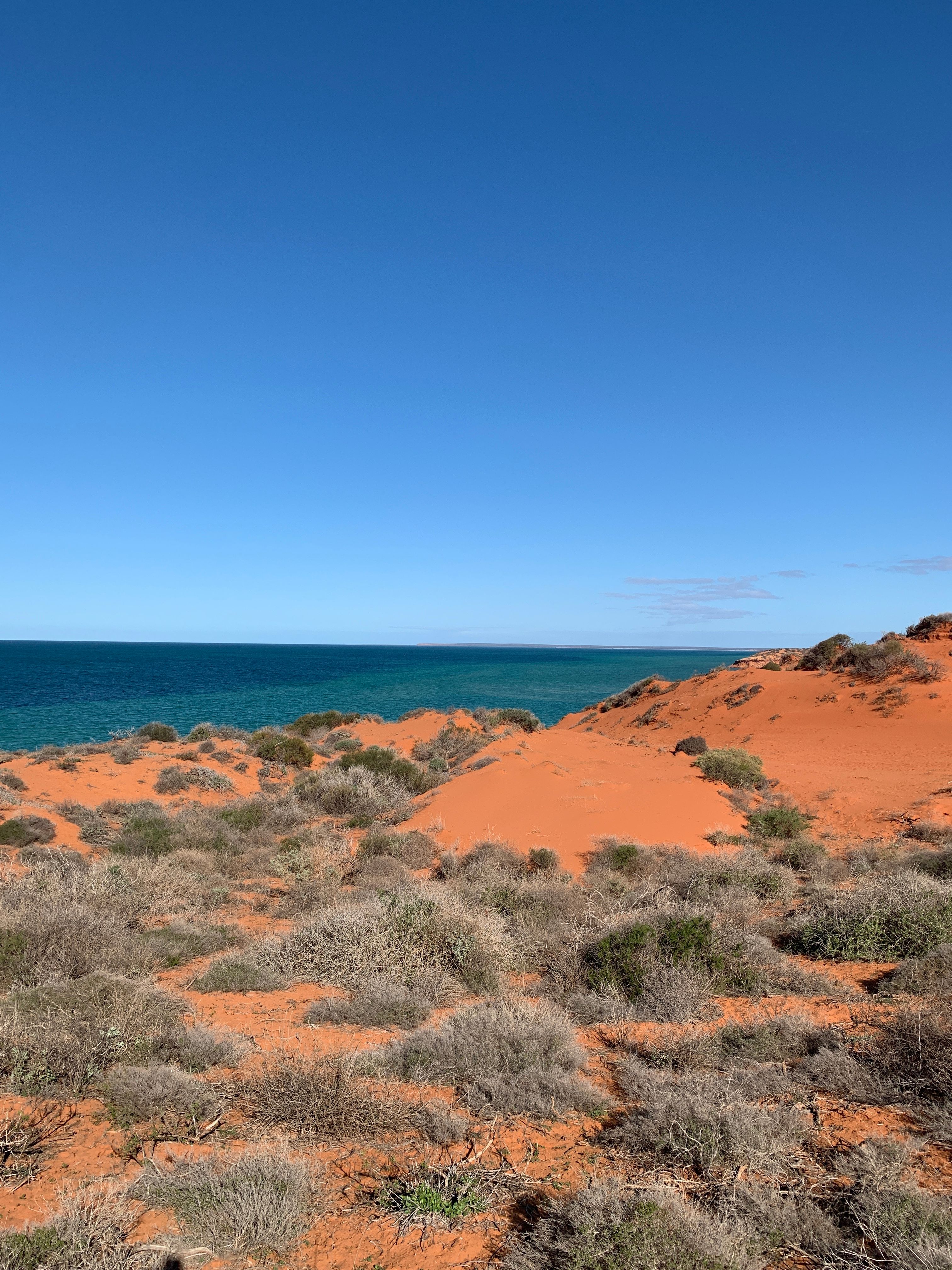 sand meets the sea · Free Stock Photo