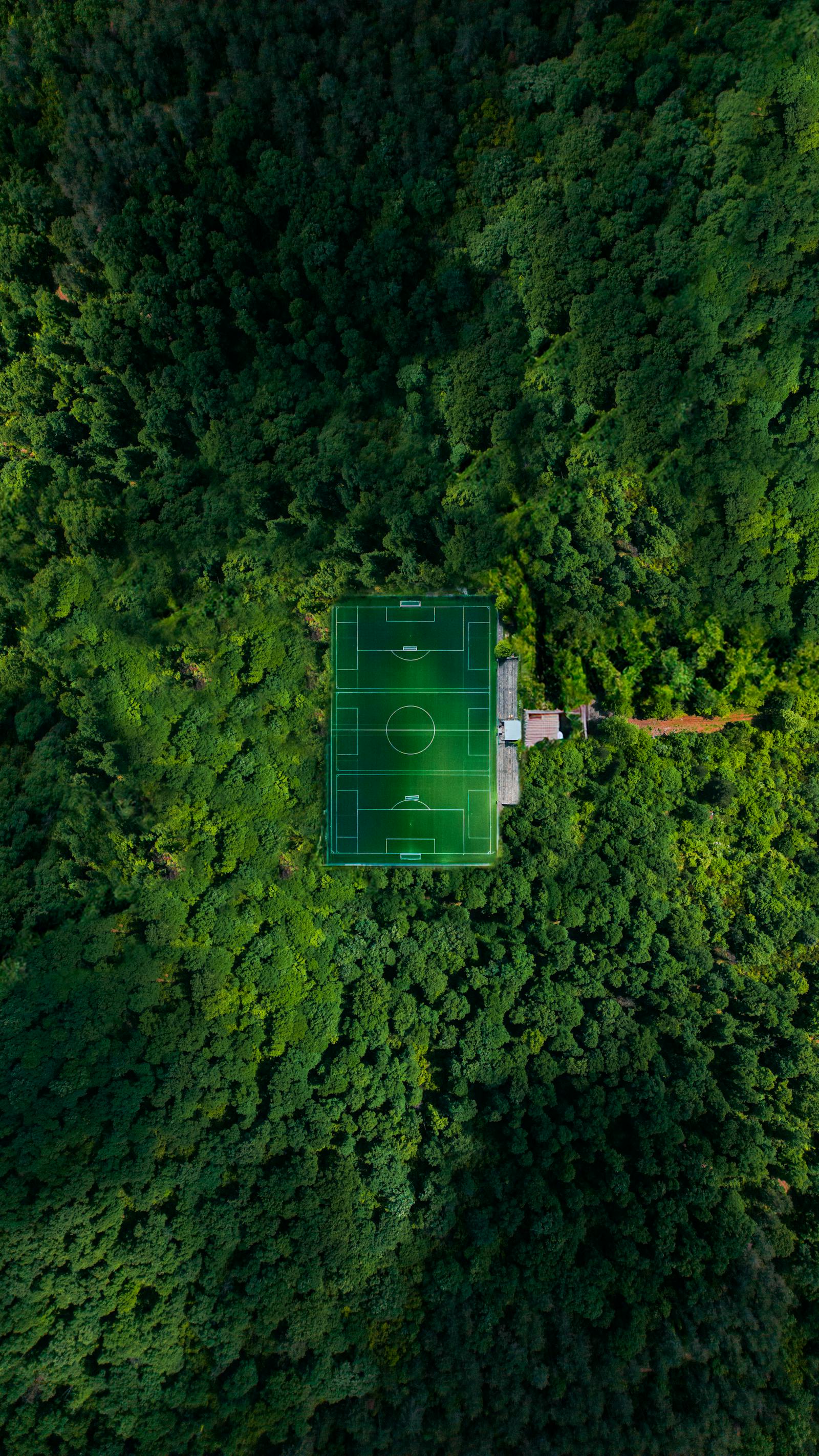 Football Texture Photos, Download The BEST Free Football Texture Stock ...