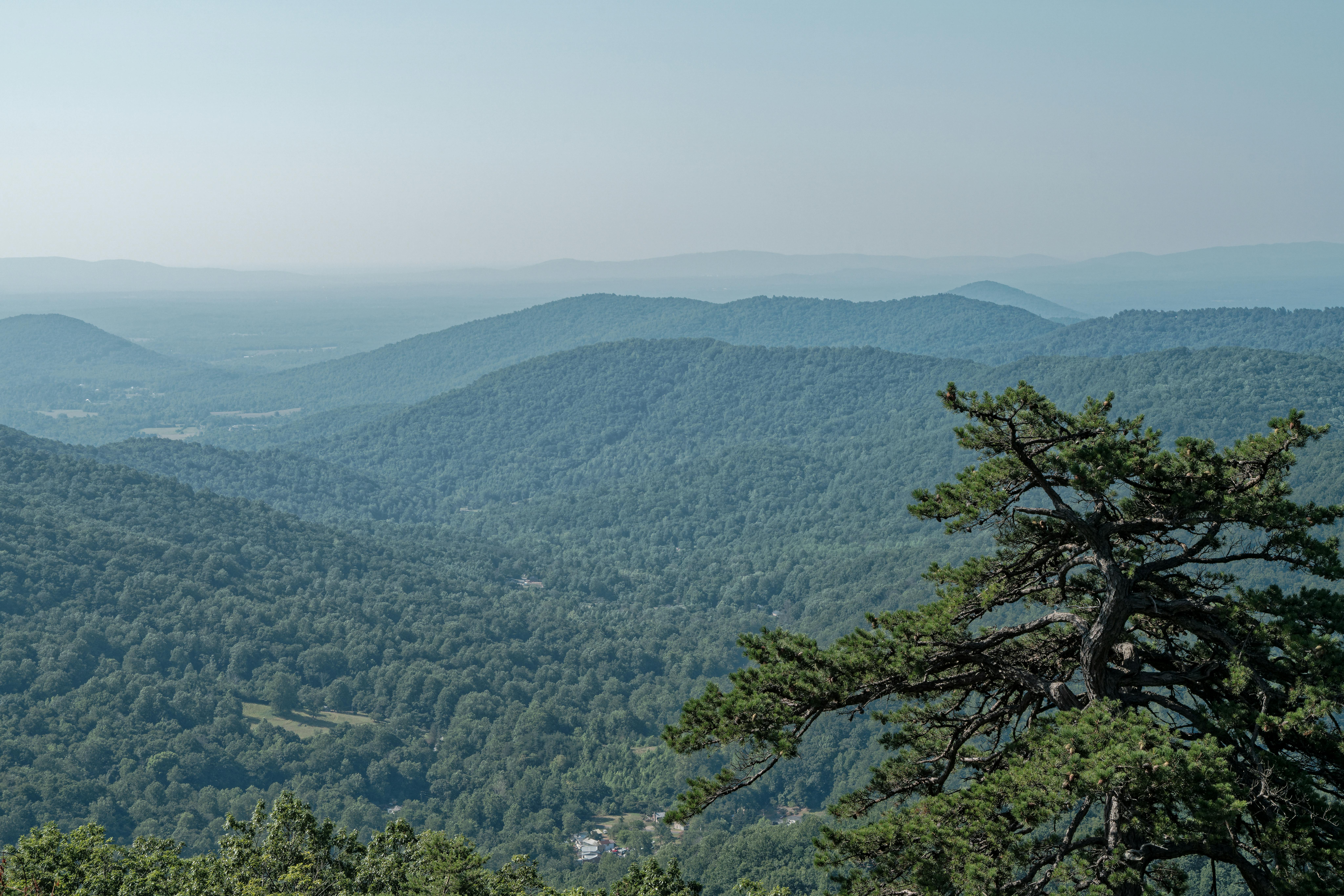 Blue Ridge Mountains Virginia Photos, Download The BEST Free Blue Ridge ...