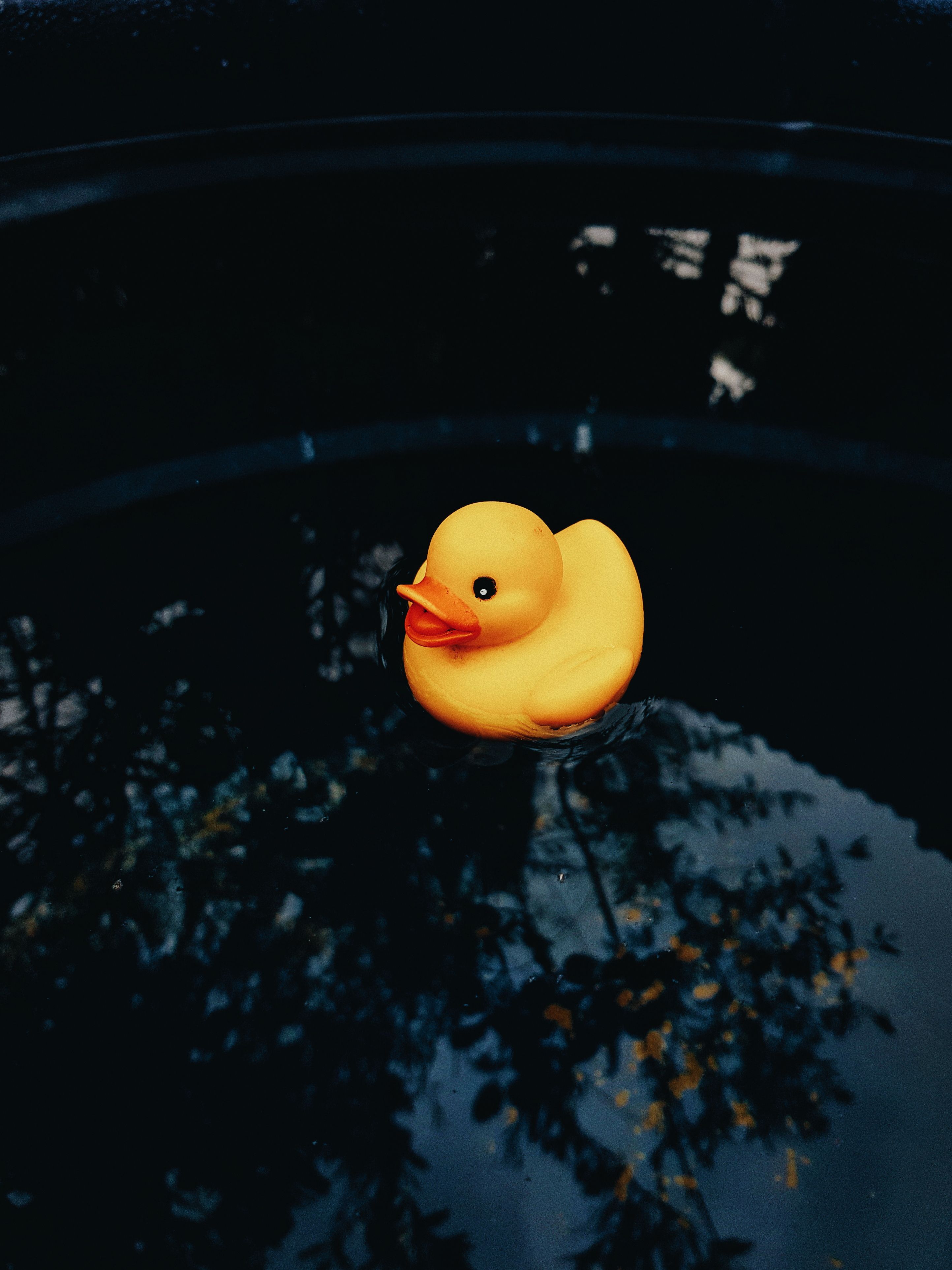 Photo of Rubber Duck Toy · Free Stock Photo