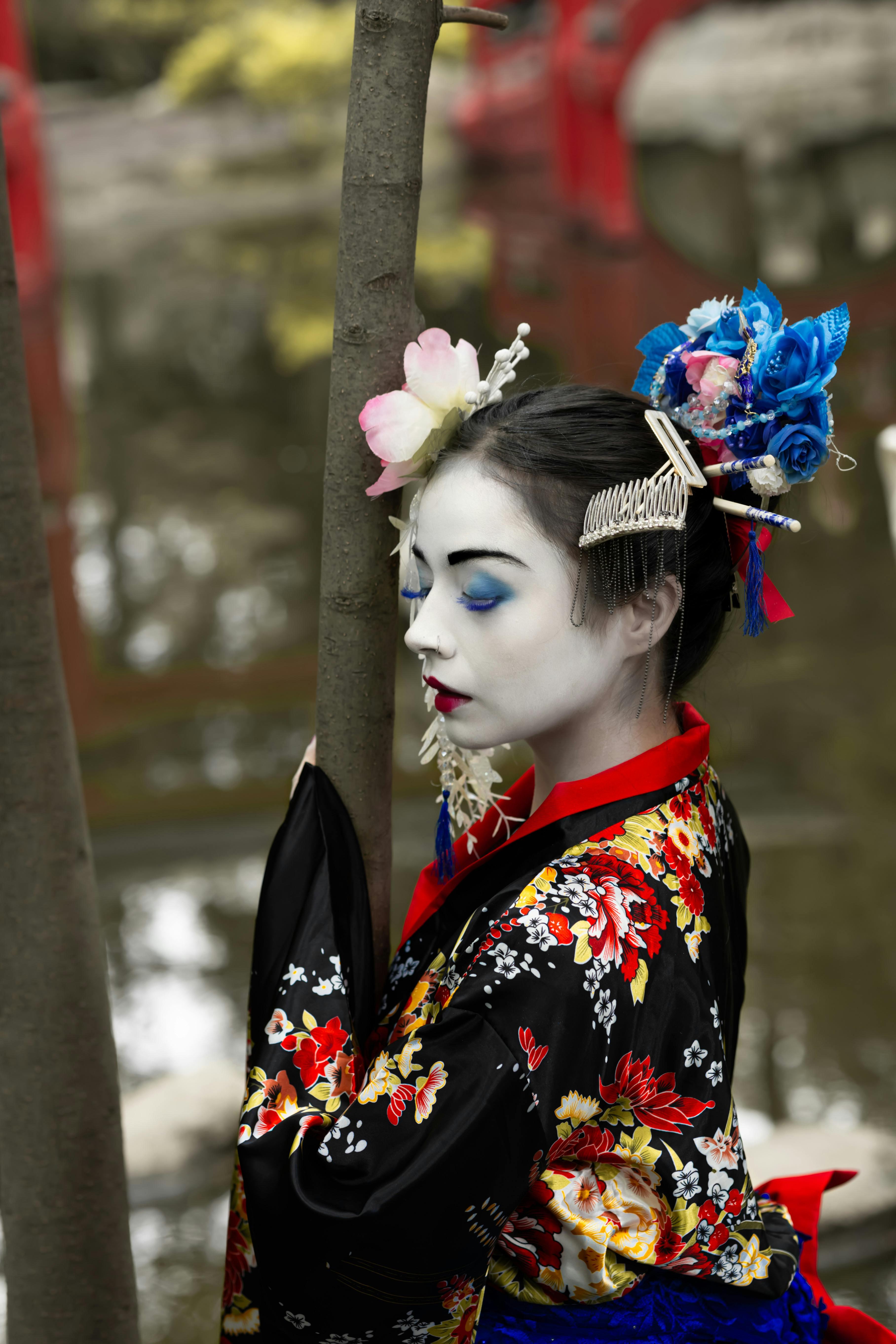 A geisha girl in traditional costume with a flower in her hair · Free ...