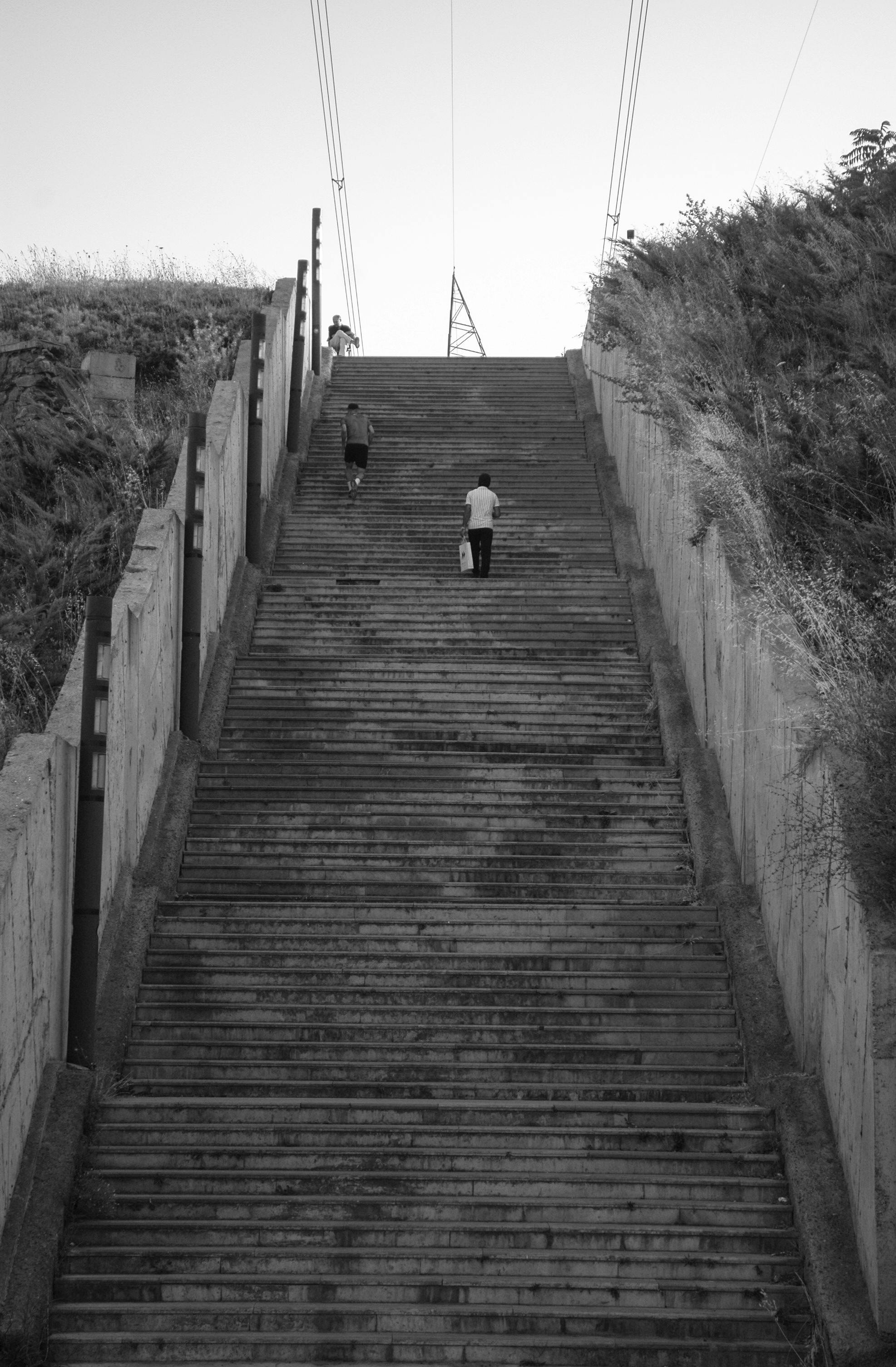 Woman Walking Up Steps at Dawn · Free Stock Photo