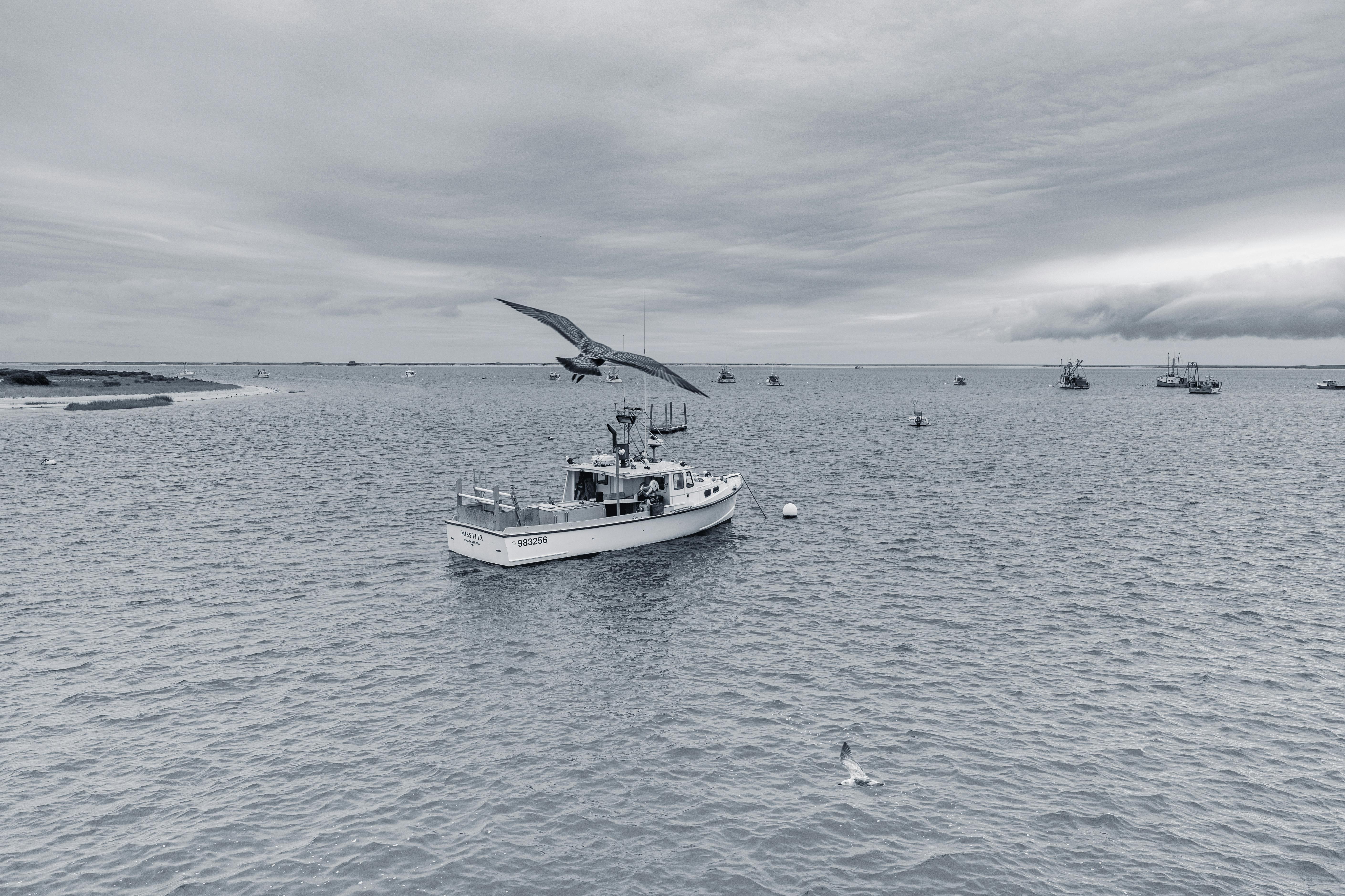 Cod Fishing Boat Photos, Download The BEST Free Cod Fishing Boat Stock ...