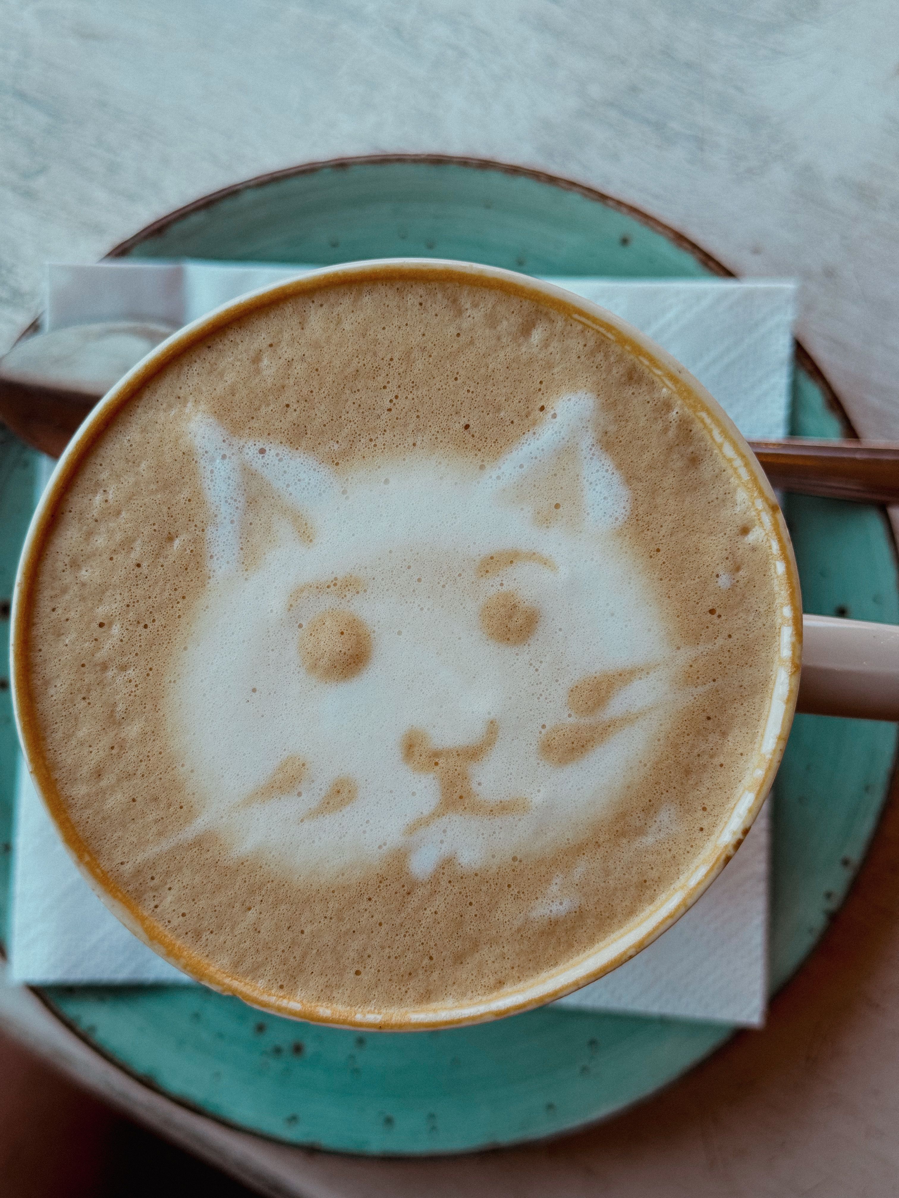 A latte with a cat face drawn on it · Free Stock Photo