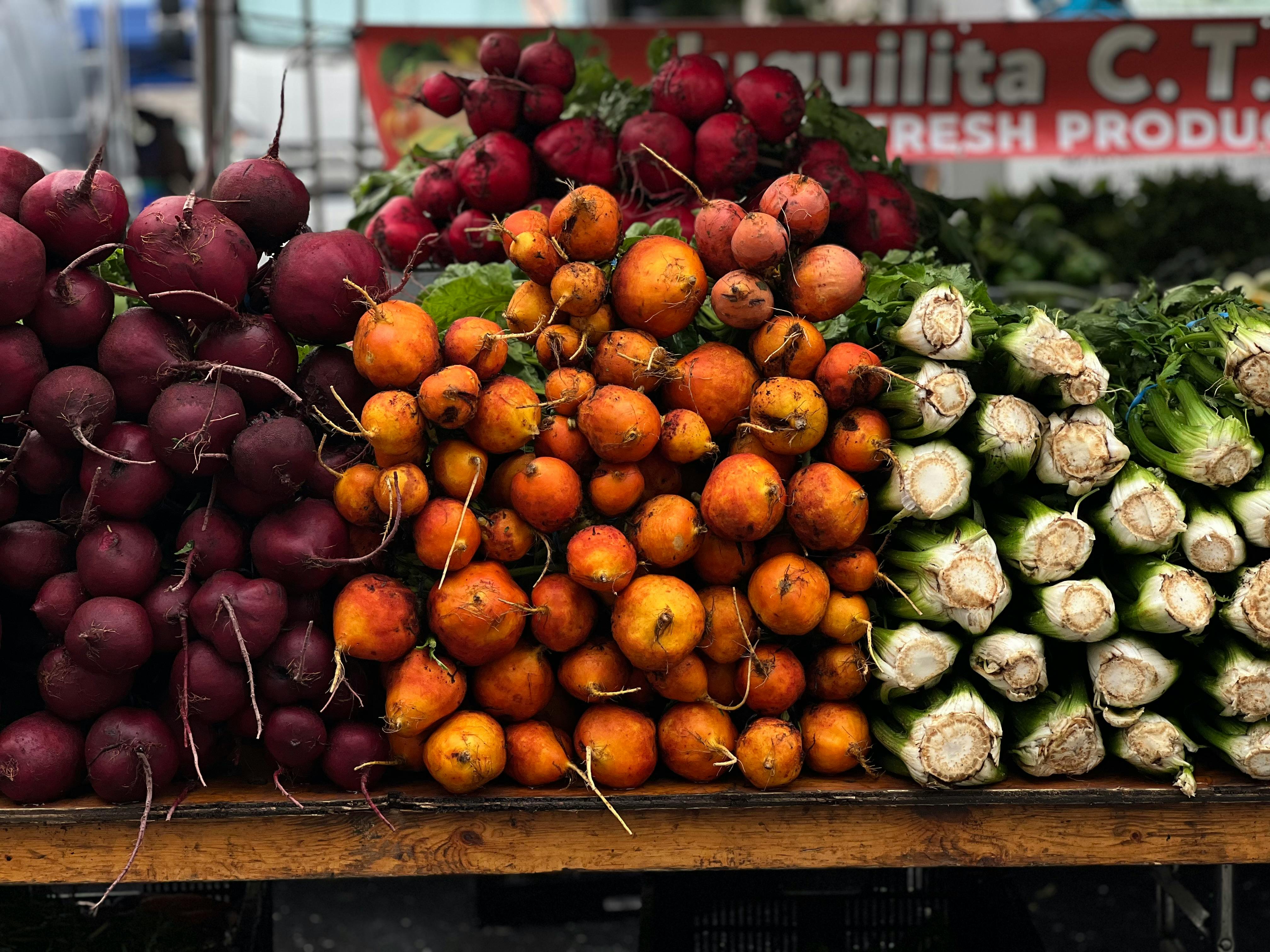 Photo gratuite de à base de plantes, affichage coloré, agriculture ...