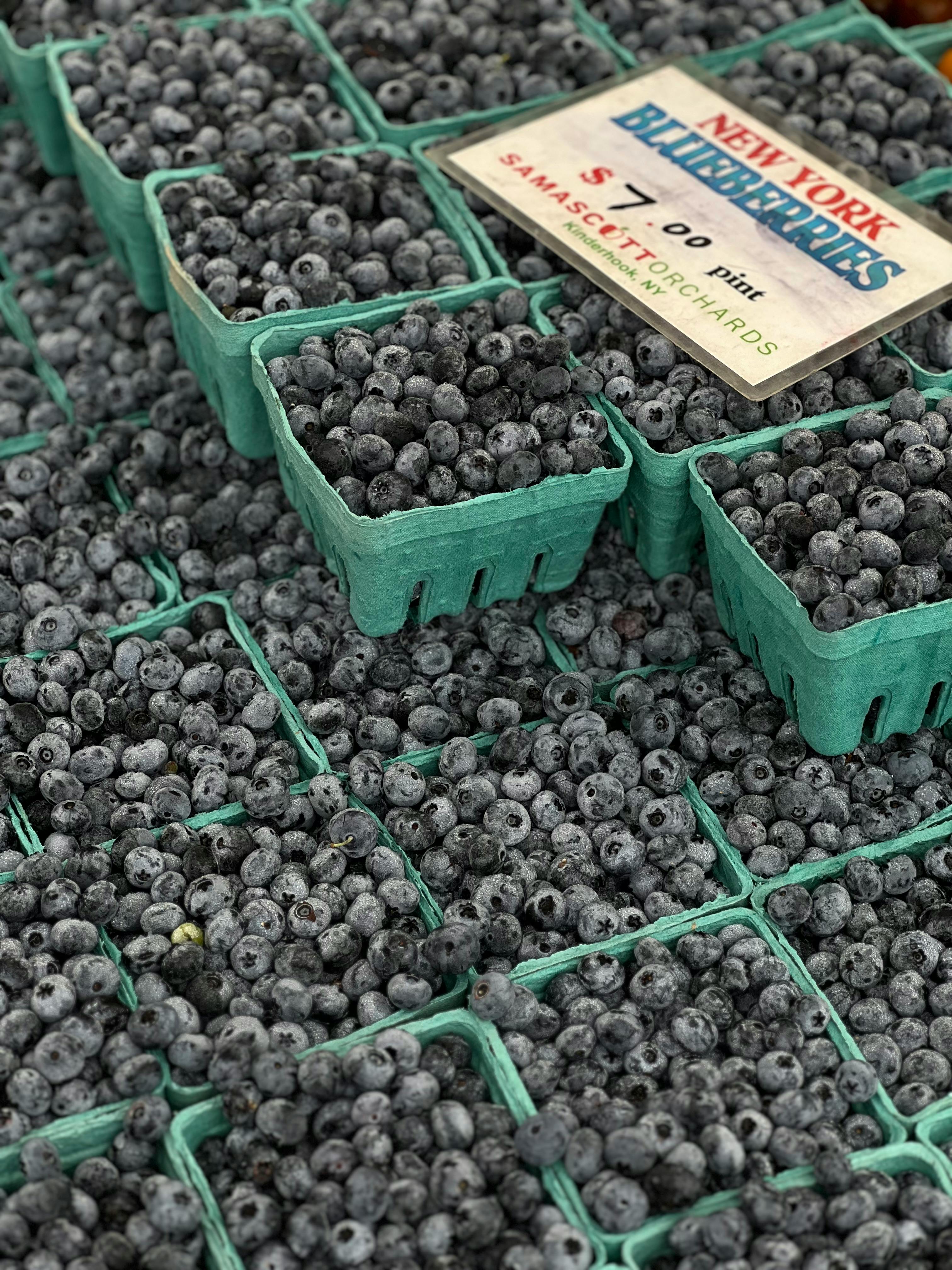 Samascott Orchard Photos, Download The BEST Free Samascott Orchard ...