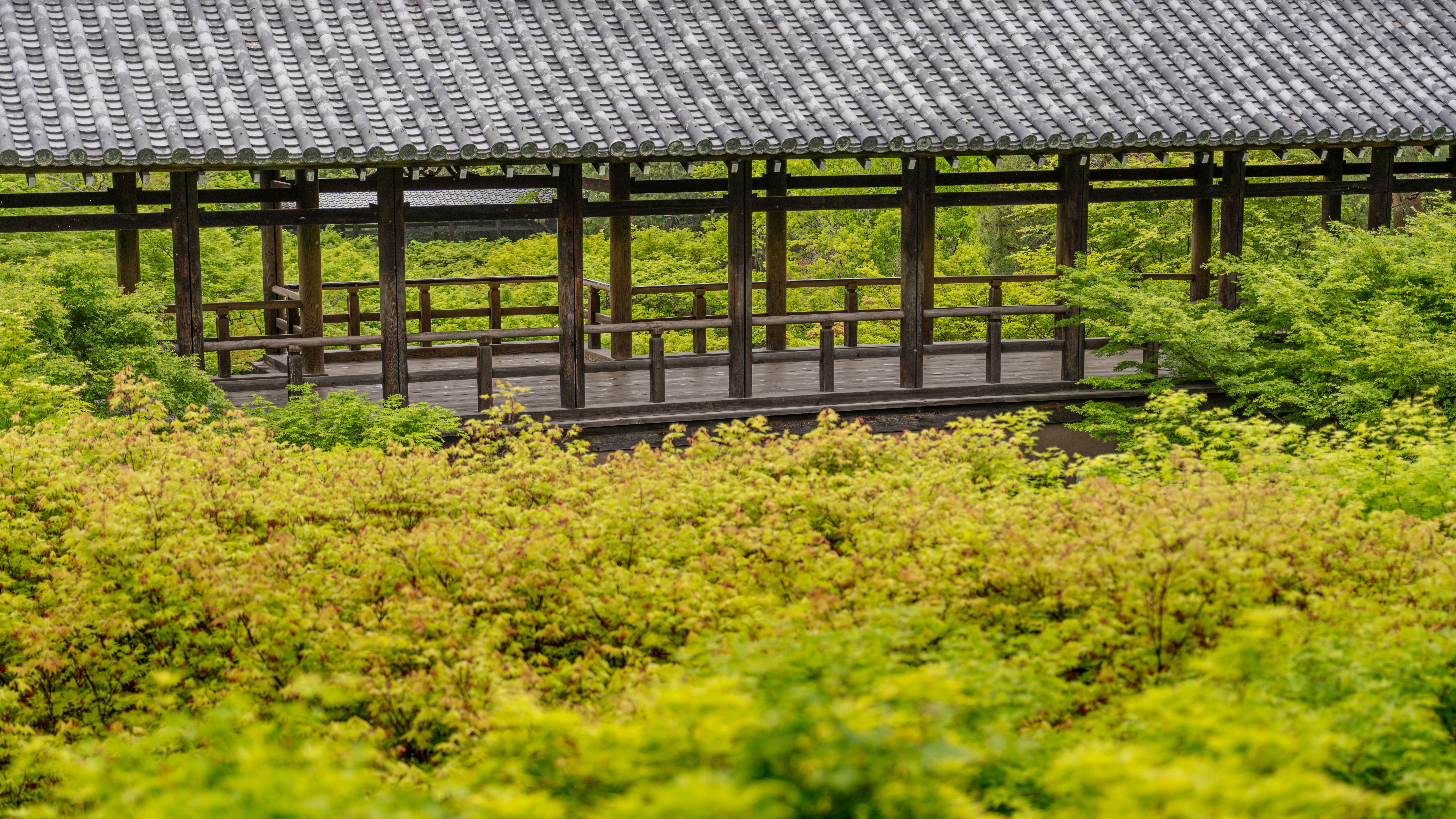 A japanese style building with a roof and green bushes · Free Stock Photo