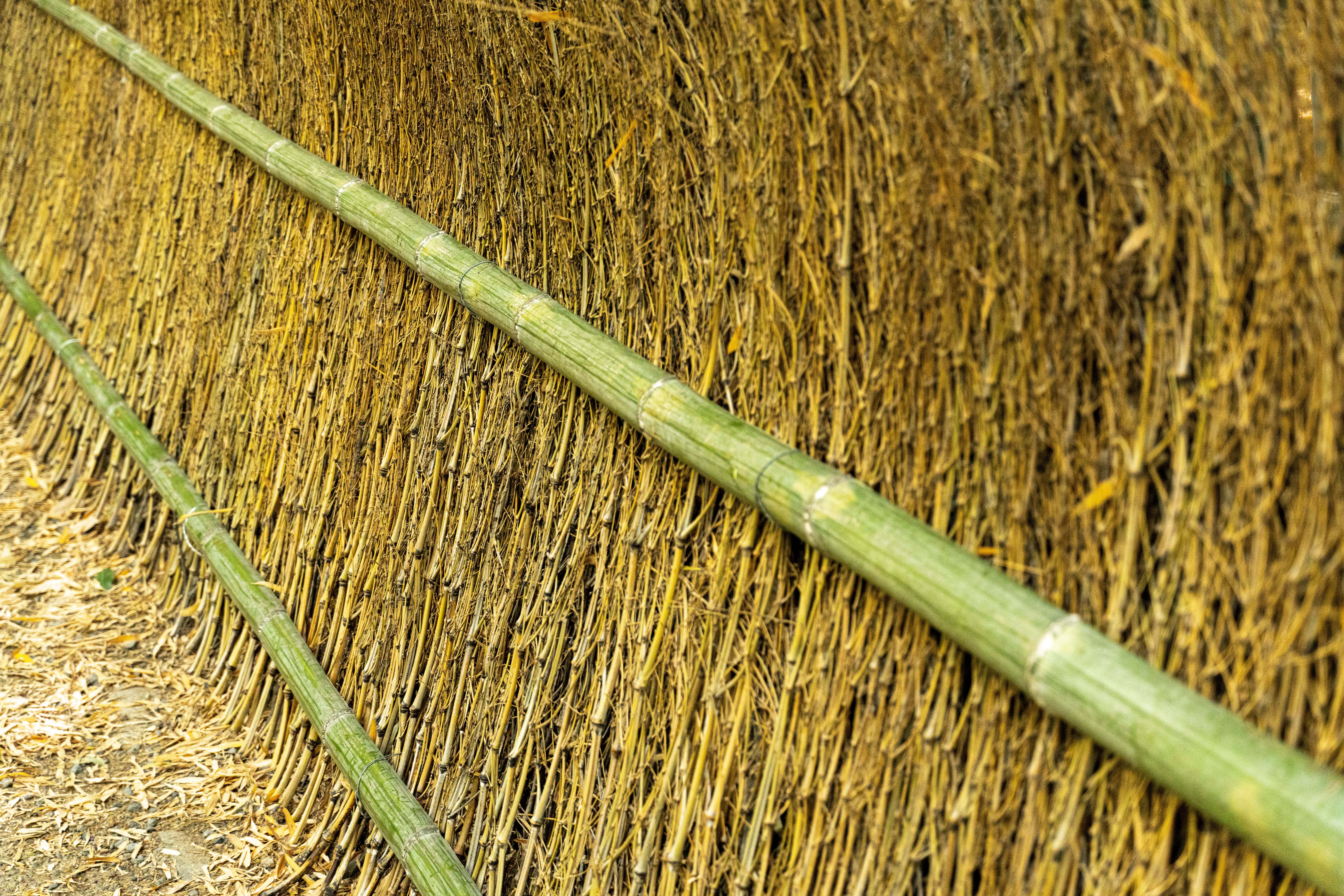 A bamboo fence with a straw roof · Free Stock Photo