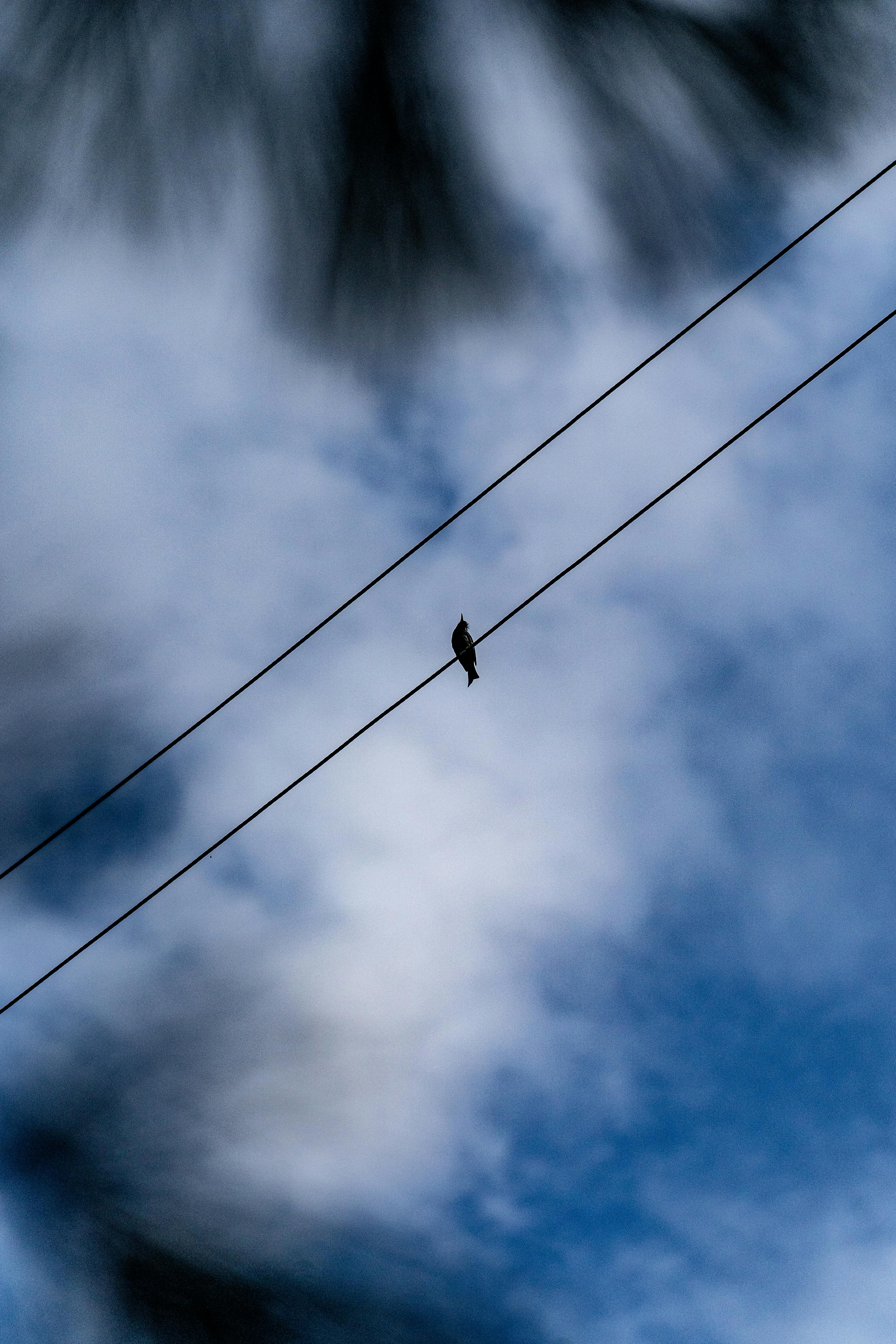 Voltage Stabilizer For Tv Photos, Download The BEST Free Voltage ...