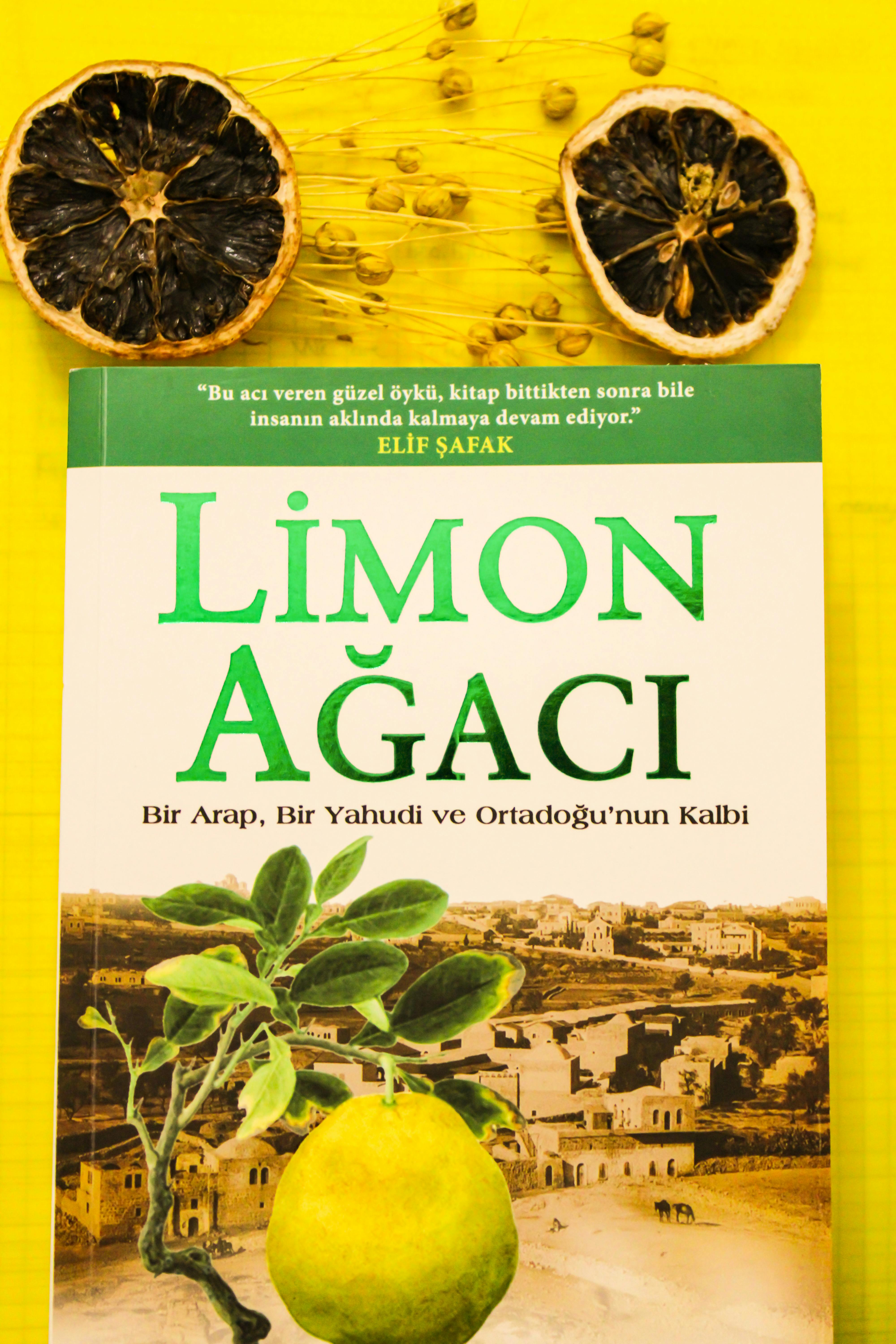 The lemon agaci book cover with a lemon and a book · Free Stock Photo