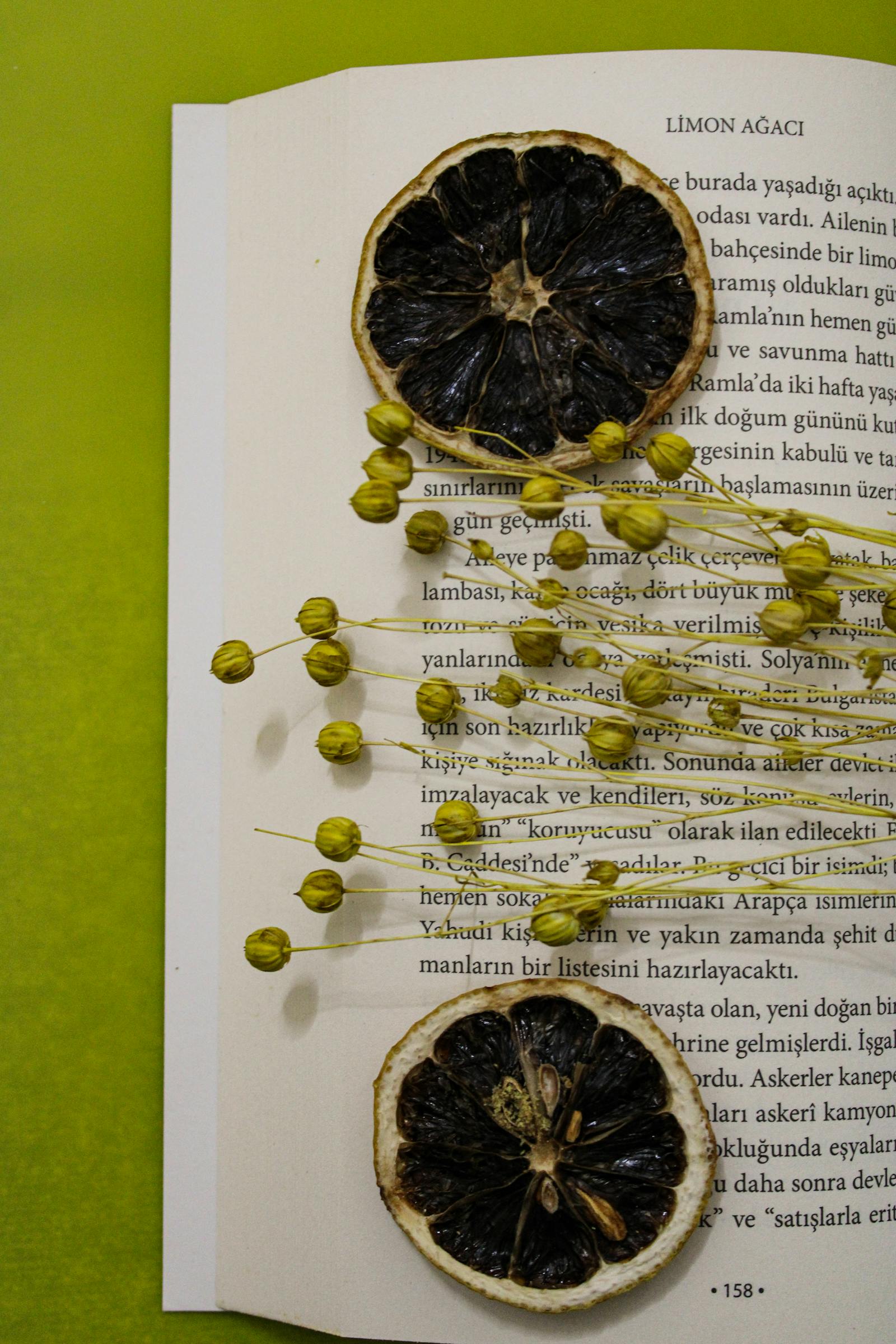 Dehydrated Fruit Photos, Download The BEST Free Dehydrated Fruit Stock ...