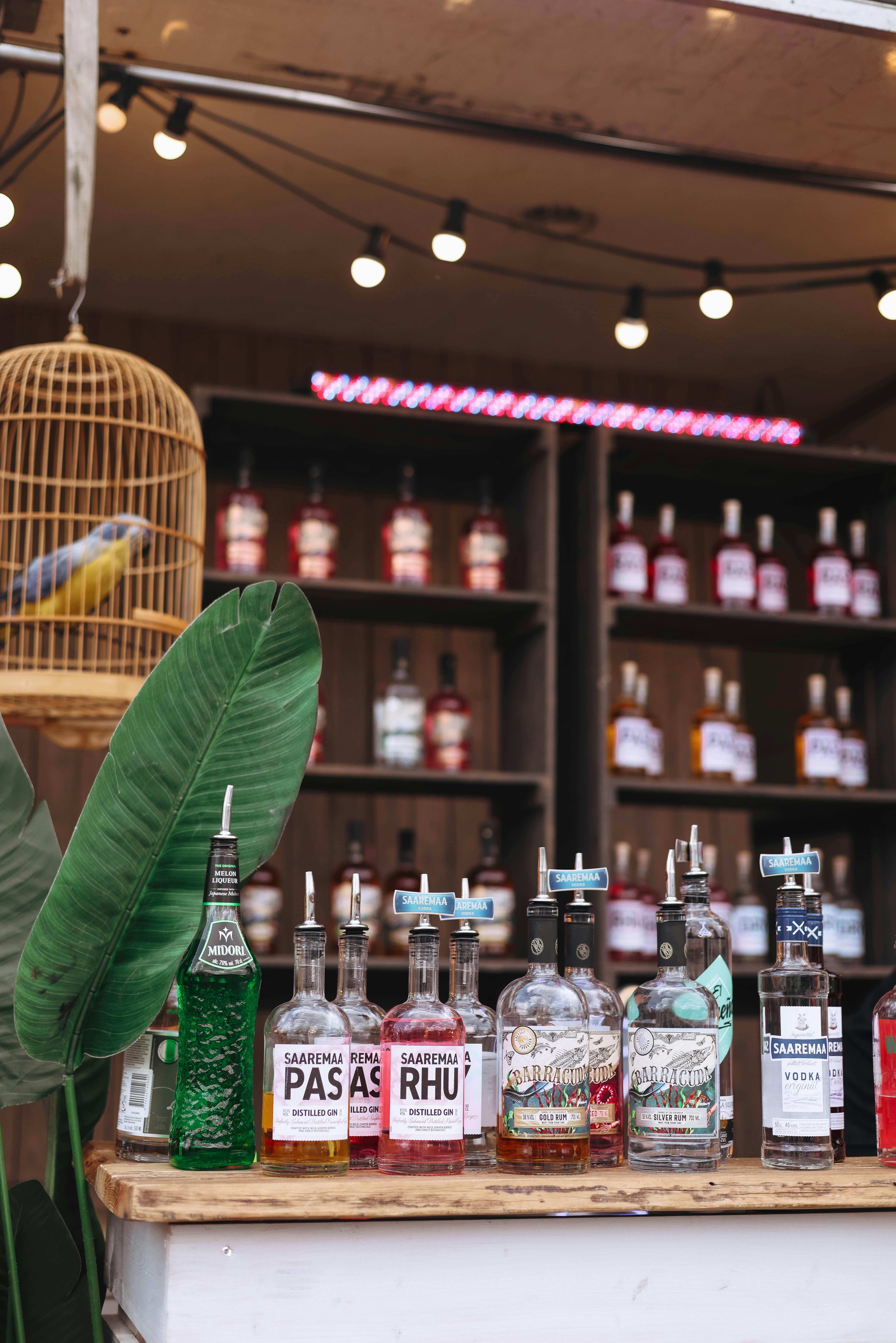 A bar with bottles of liquor and a bird cage · Free Stock Photo