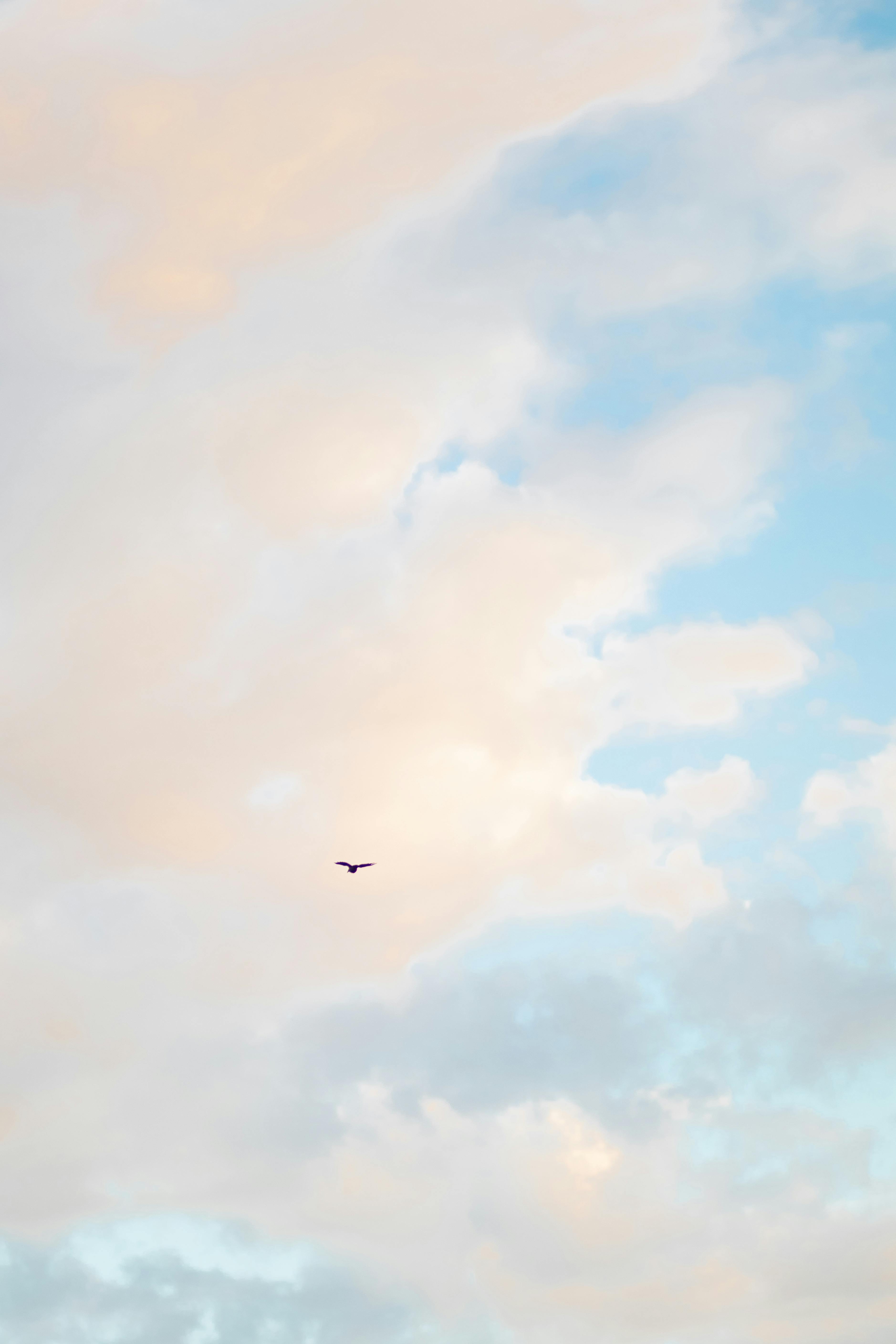 Photo gratuite de aéré, aérien, altitude, arrière plan bleu, atmosphère ...