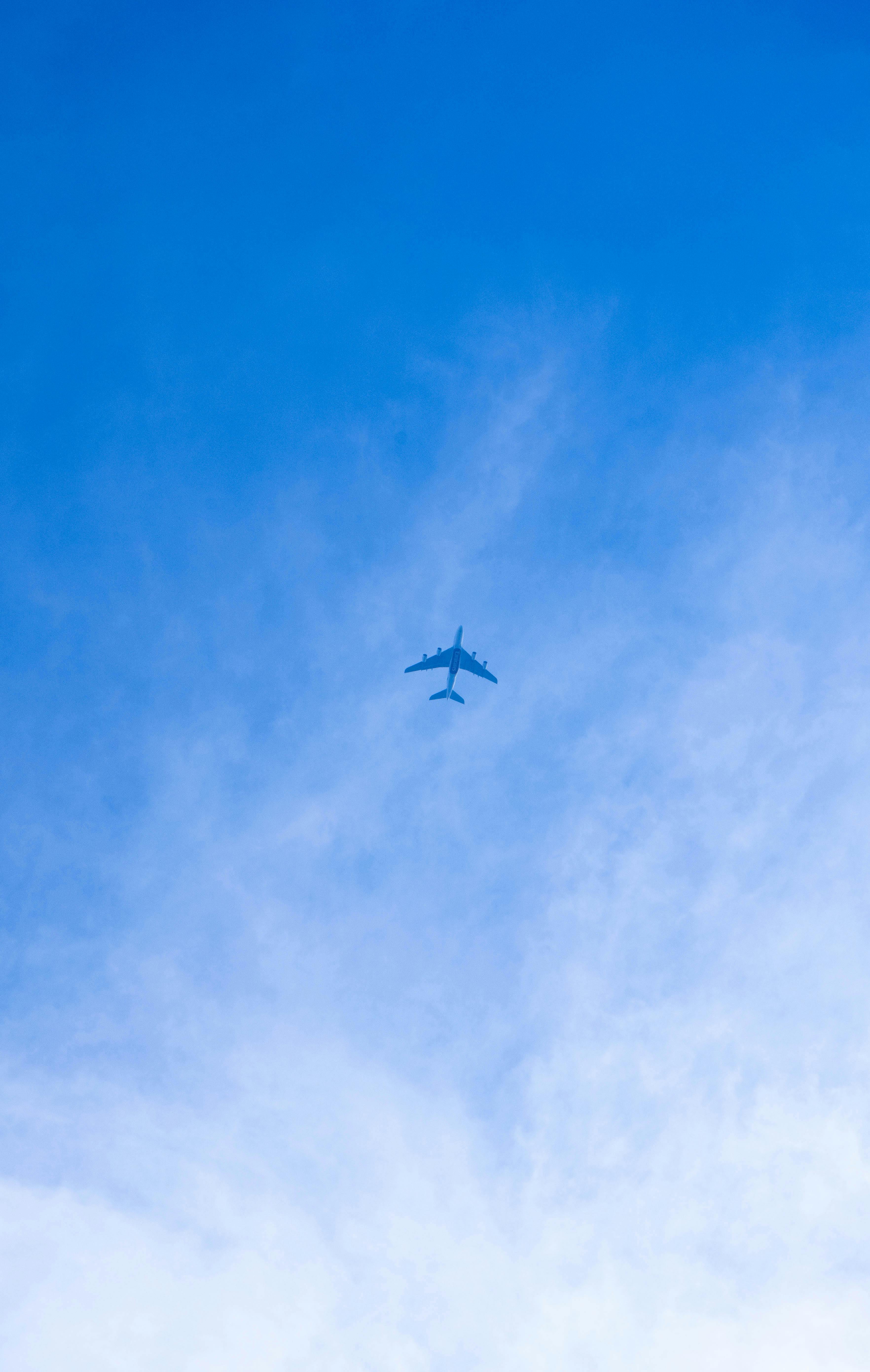 A plane flying in the sky · Free Stock Photo