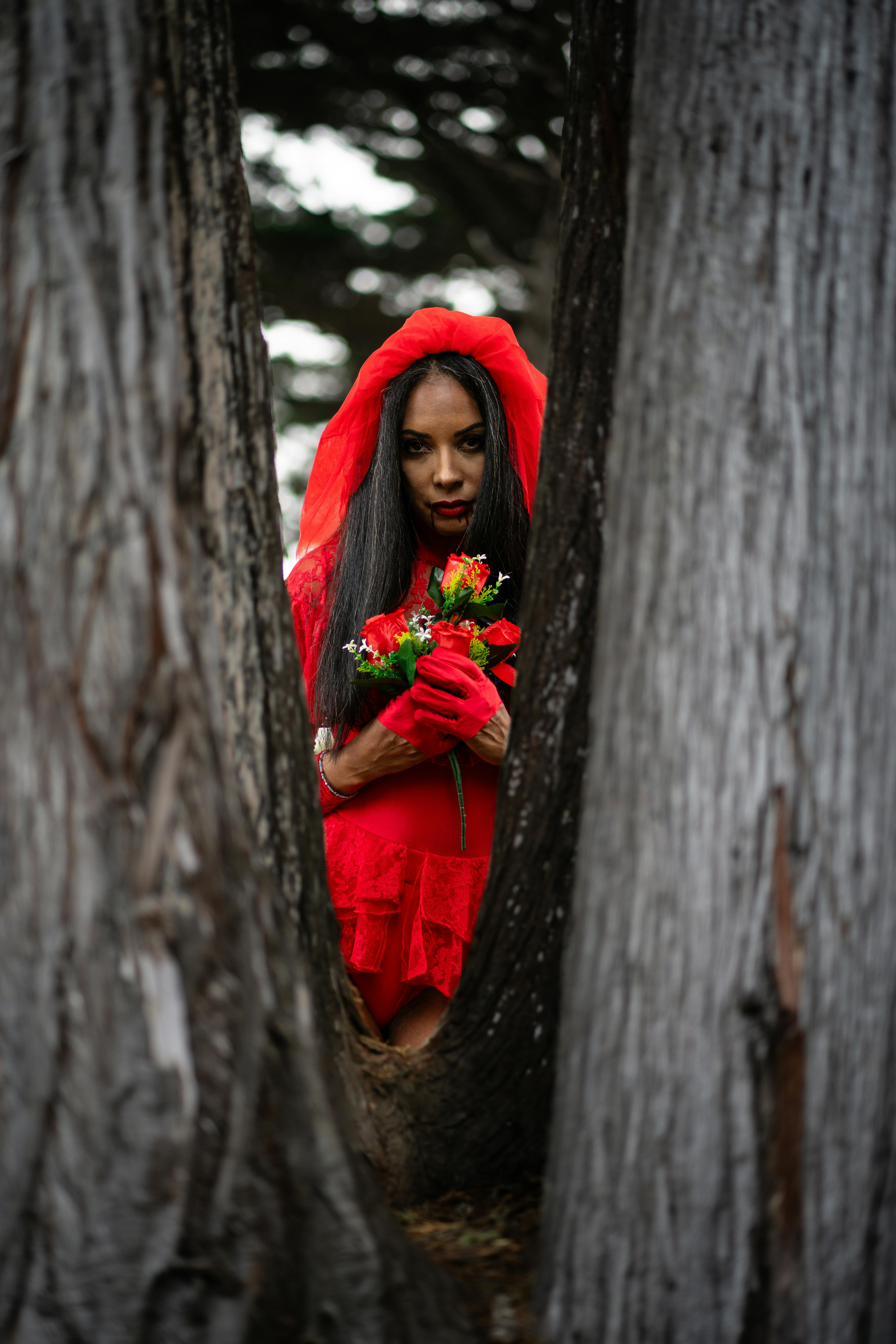 Marcus Silva - 摄影