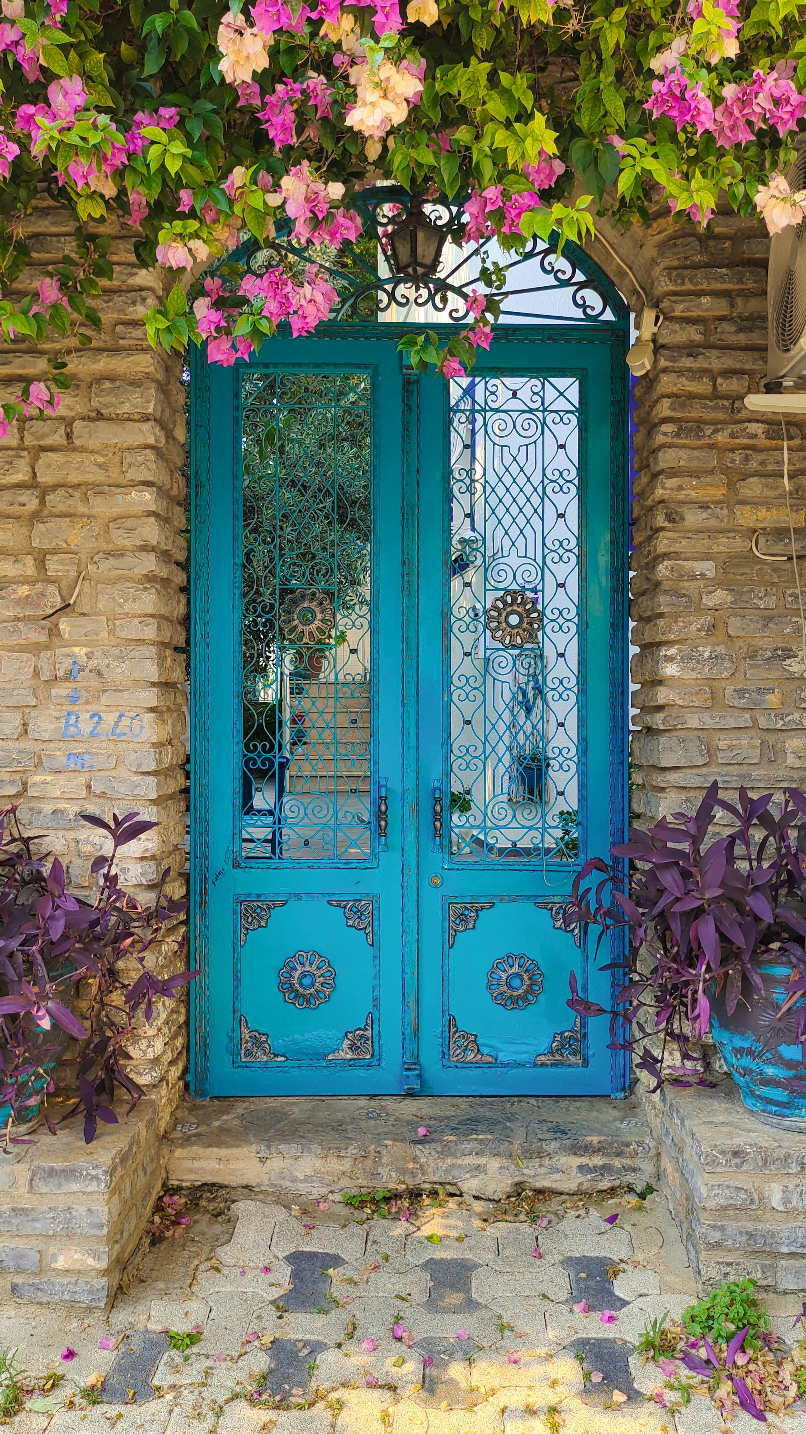 A blue door with flowers and a potted plant · Free Stock Photo