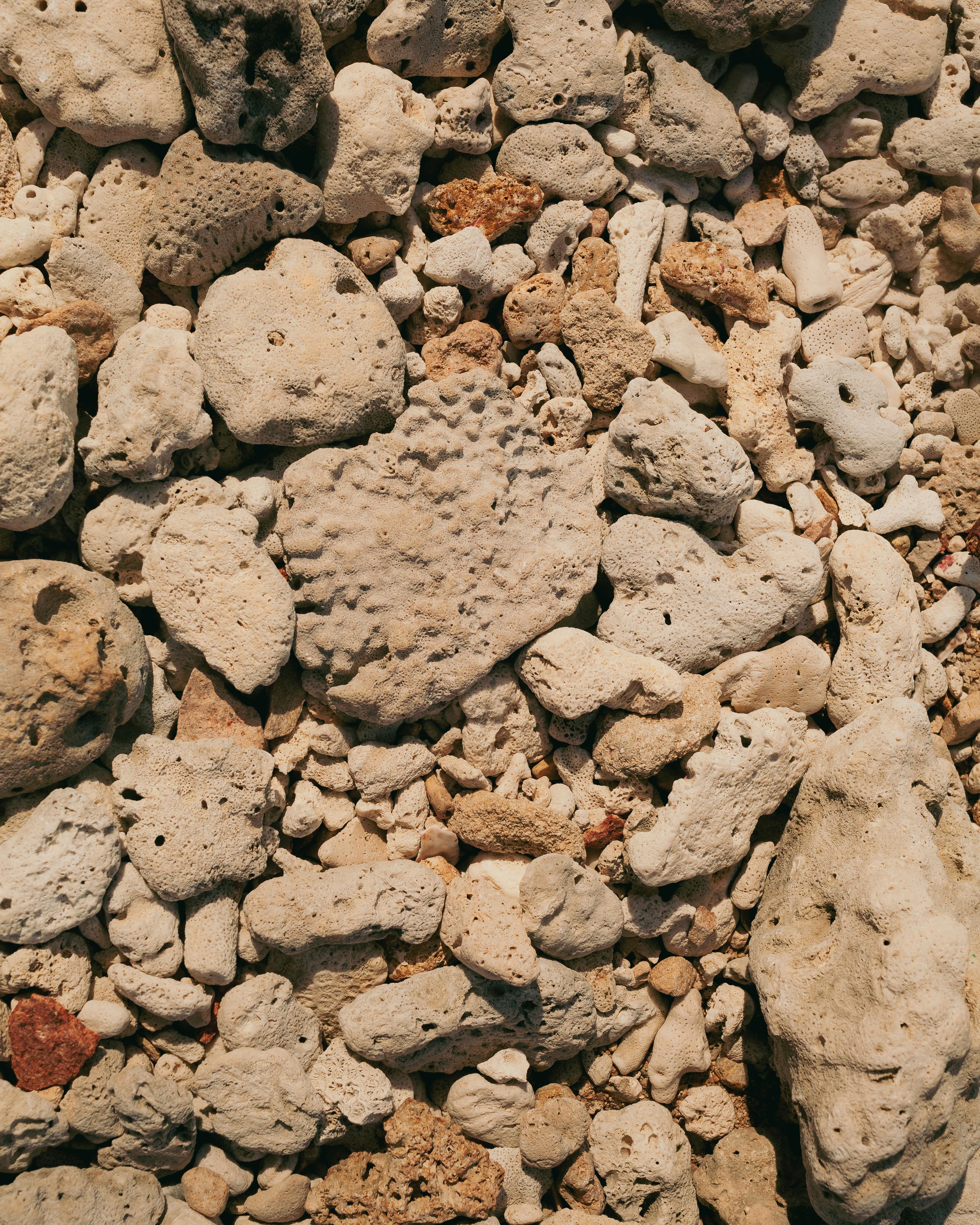 A close up of rocks and pebbles · Free Stock Photo