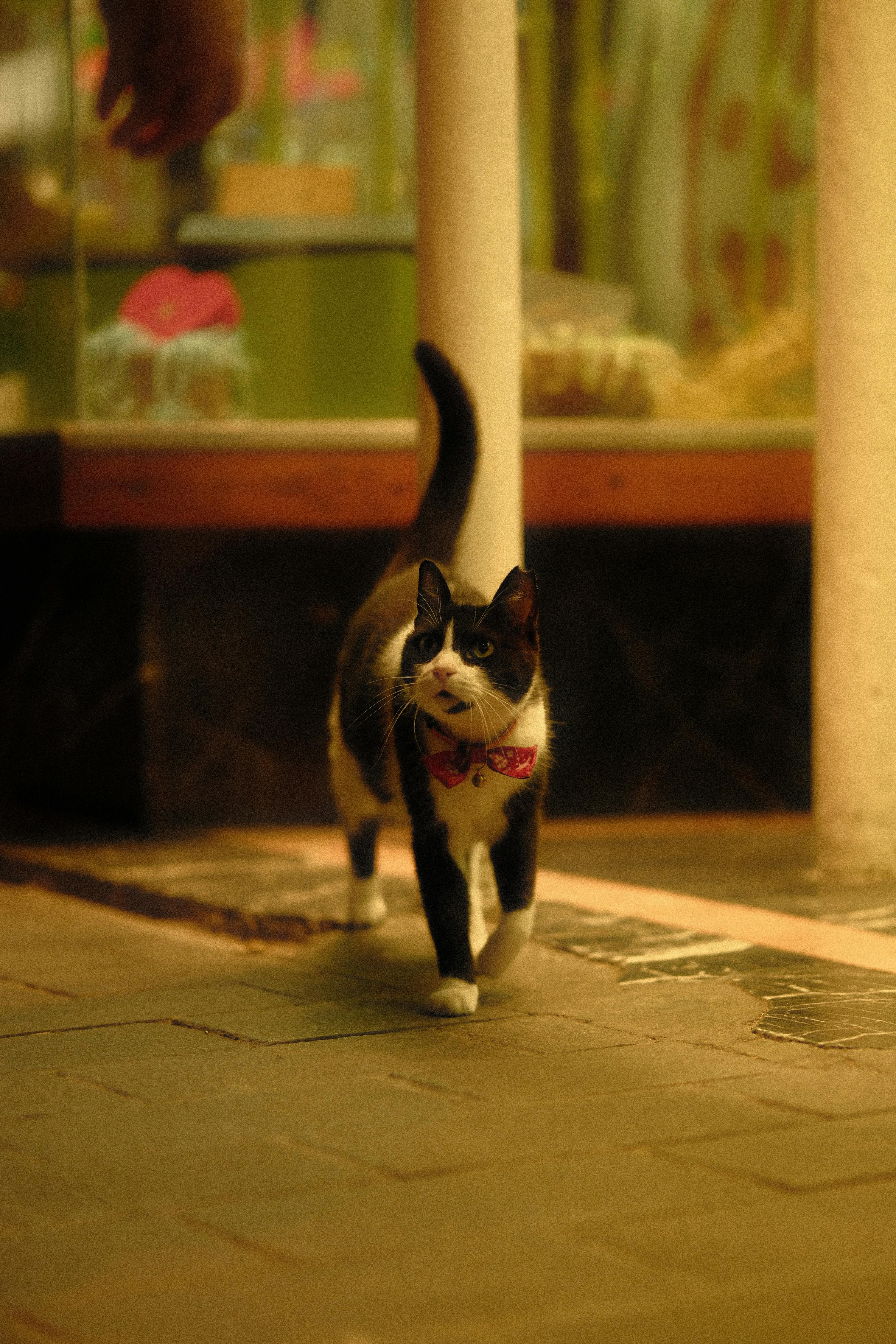 Eyes Awakening A Window Photos, Download The BEST Free Eyes Awakening A ...